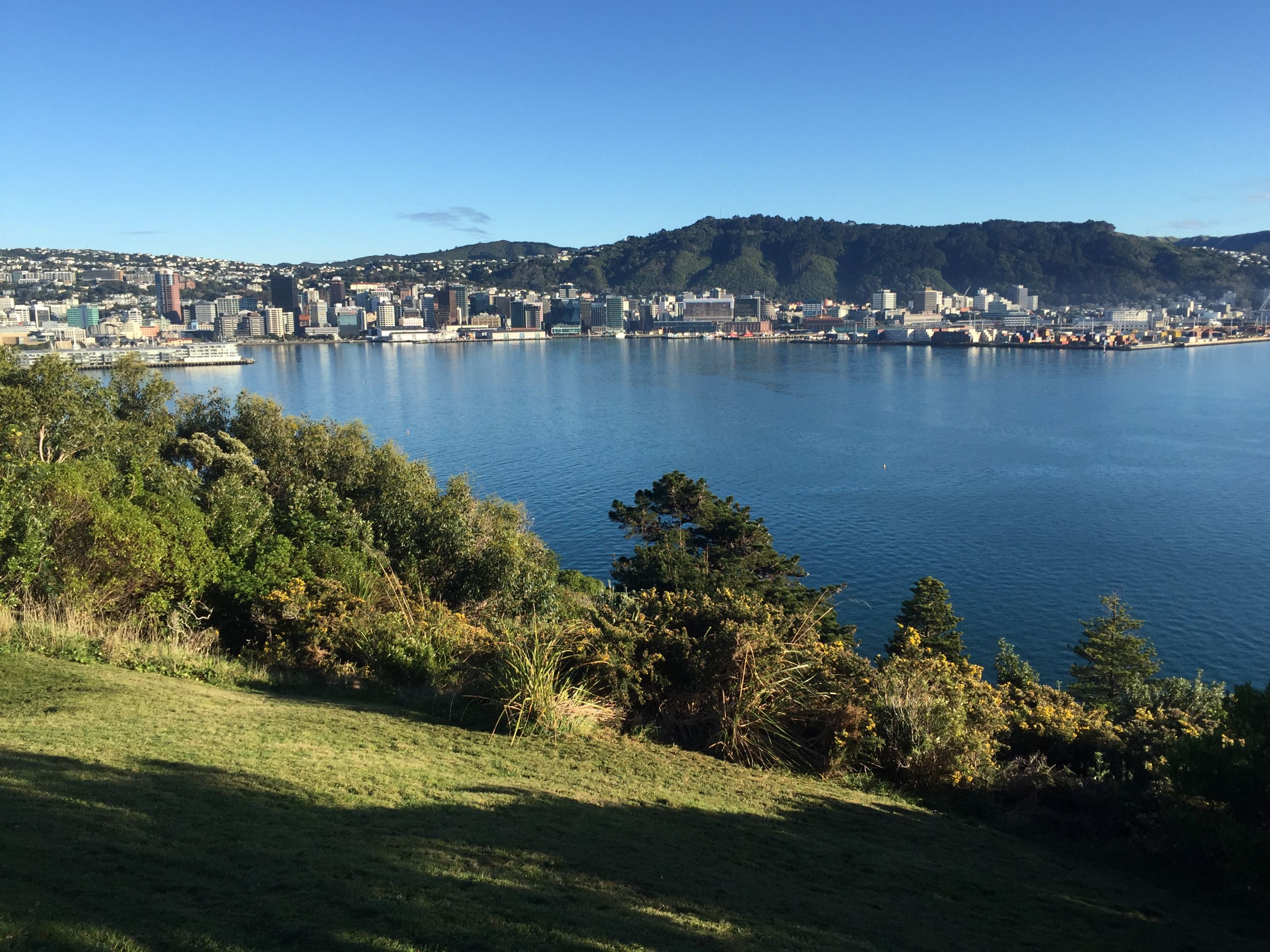 Southern Walkway, Wellington - Trails Photo Gallery - Wild Things
