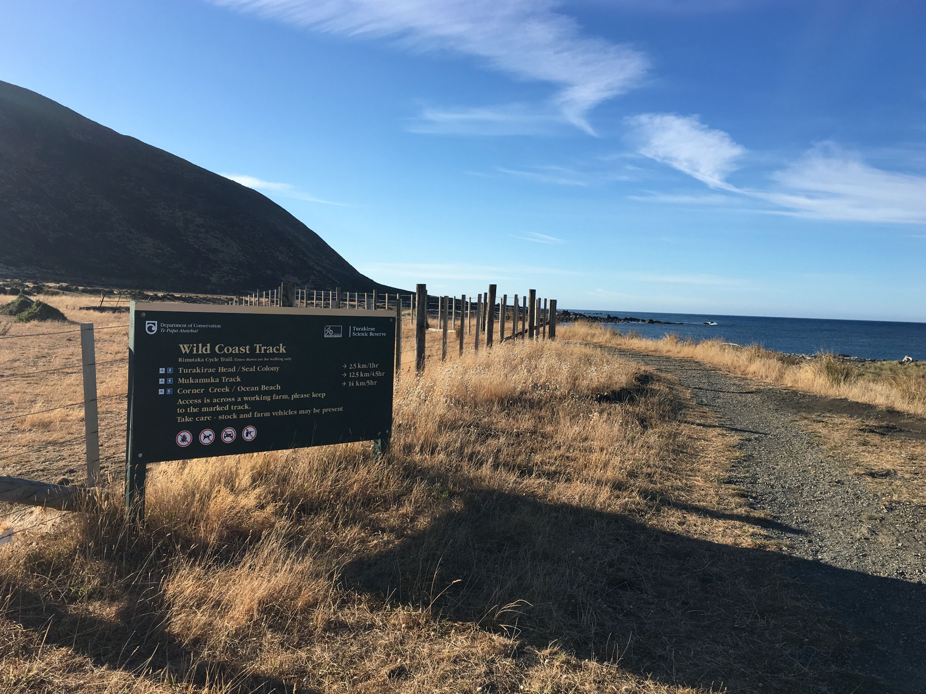 Mt Matthews - Mukamuka Loop, Wellington - Trails Photo Gallery - Wild ...