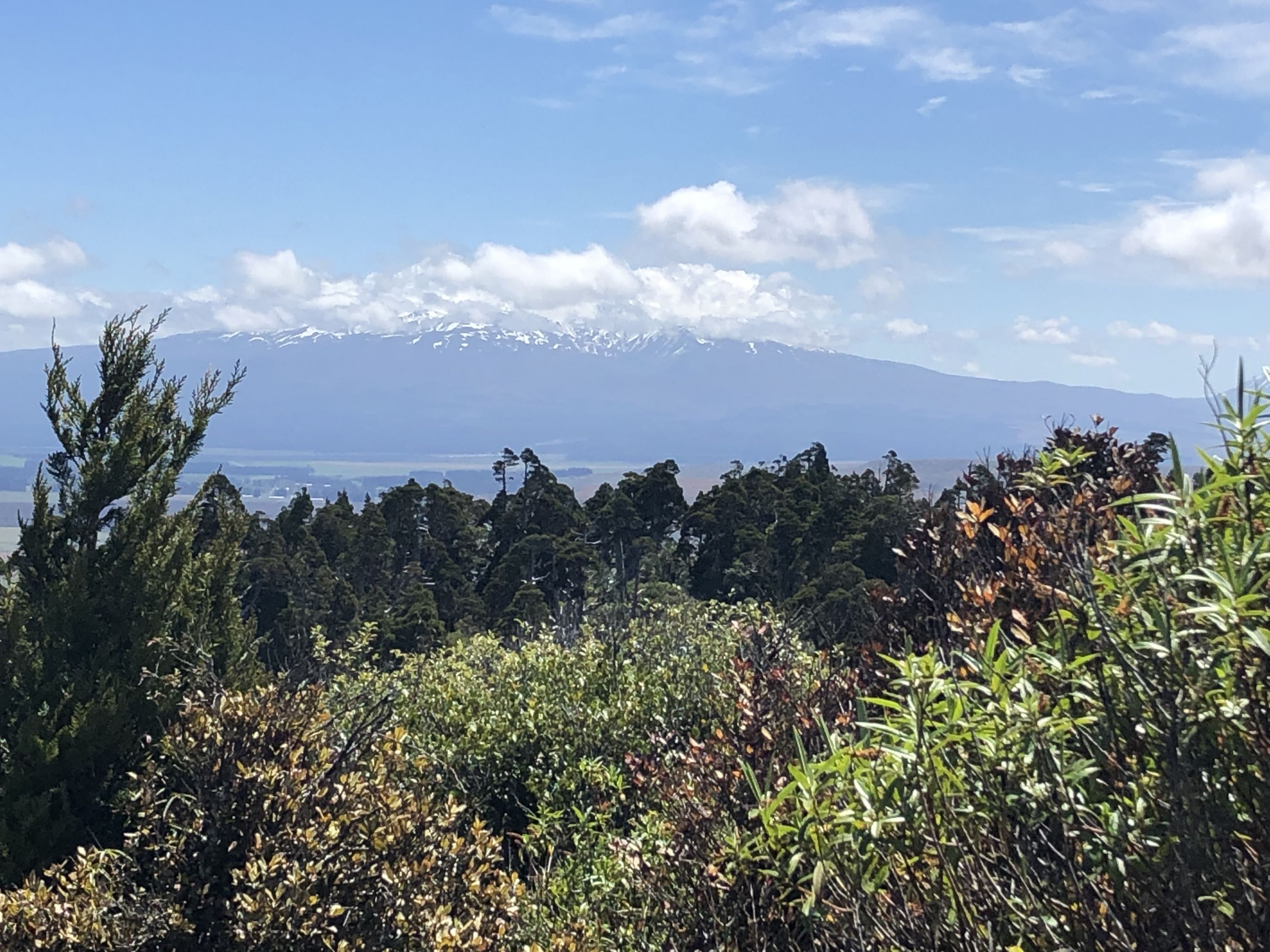 Hihitahi Highpoint, Manawatu - Wanganui - Trails Photo Gallery - Wild ...