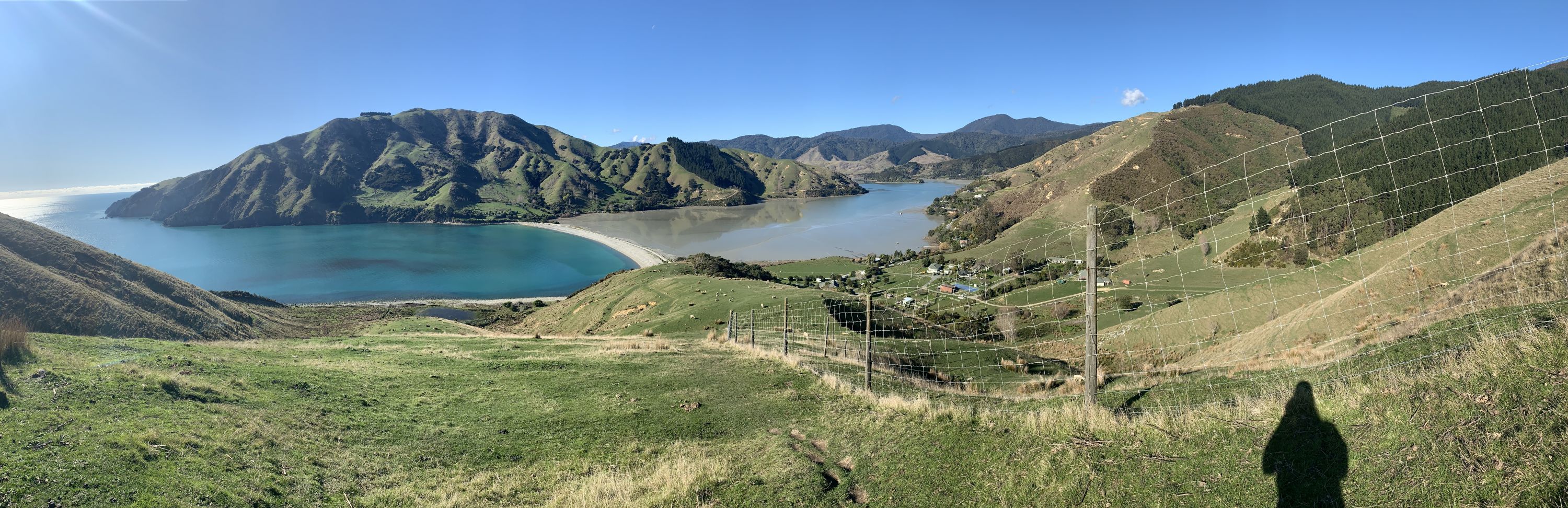 Cable Bay - Glenduan, Nelson - Trails Photo Gallery - Wild Things