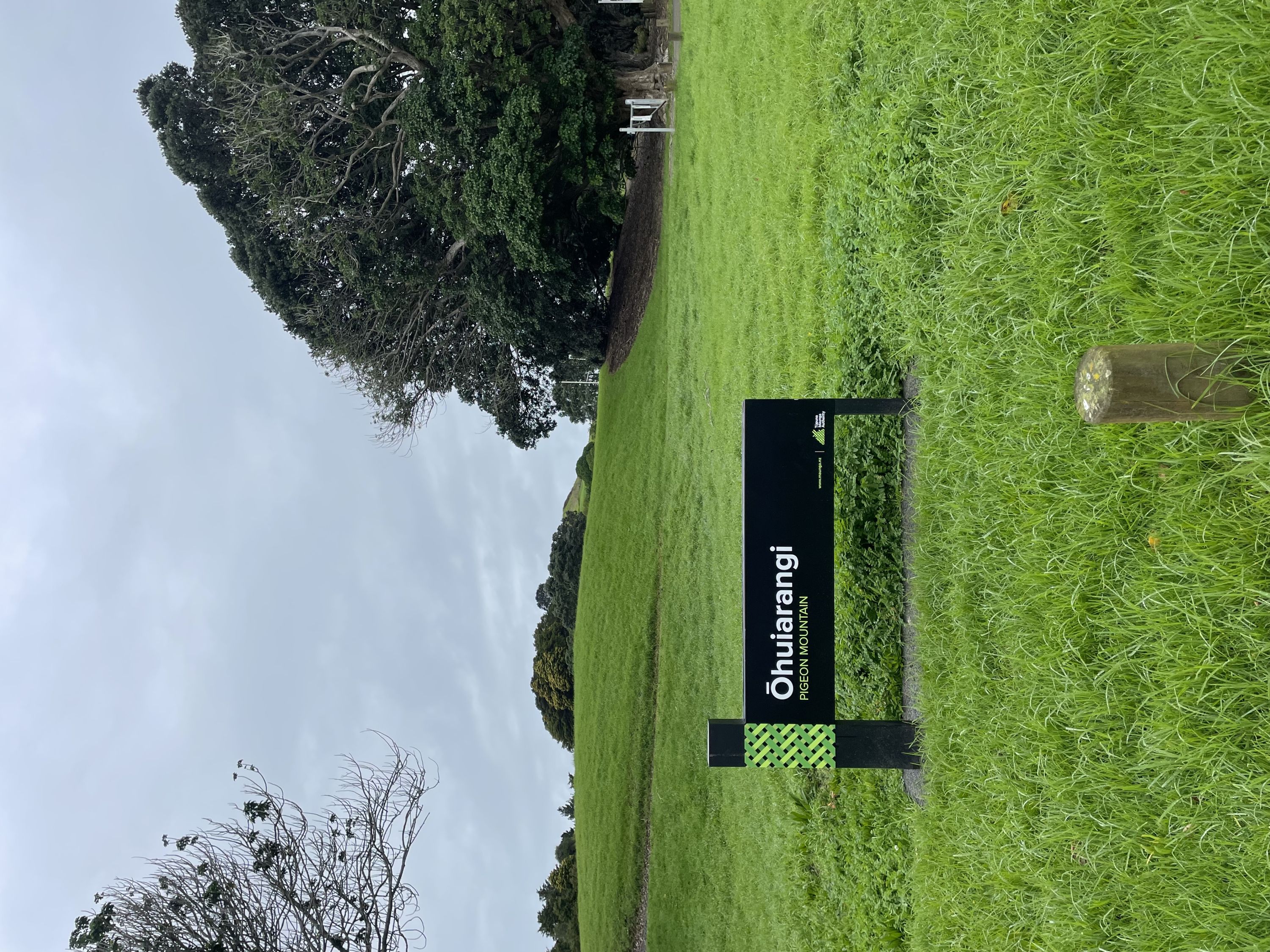 Cascadia, Auckland - Trails Photo Gallery - Wild Things