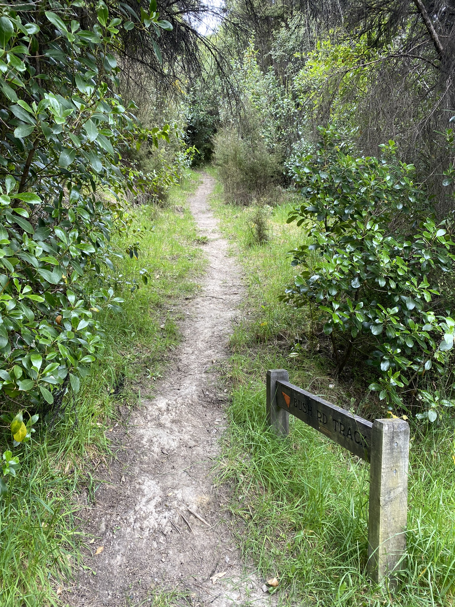 Governator 2 - Judgement Day, Canterbury - Trails Photo Gallery - Wild ...