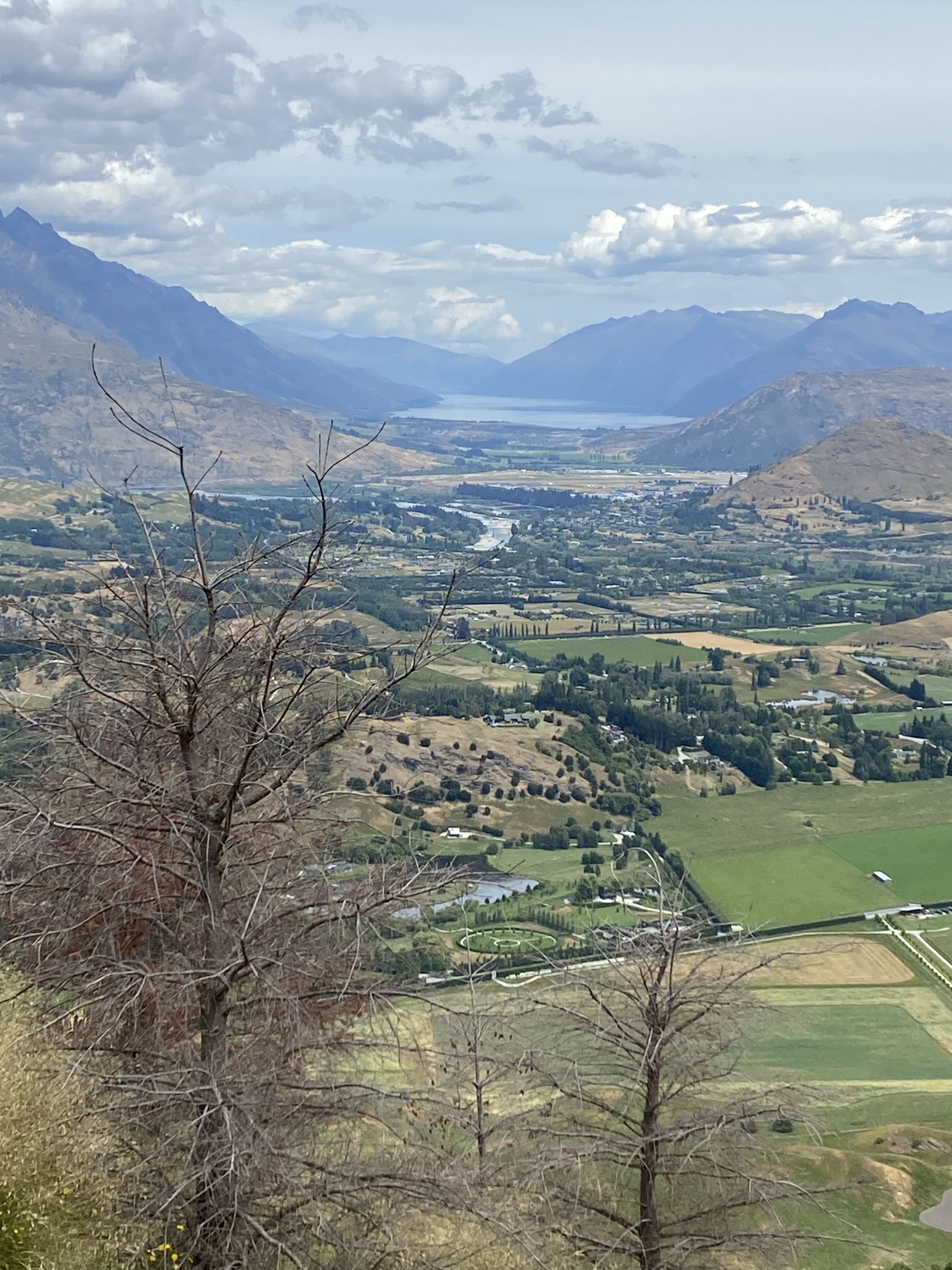 Bush Creek Banger and The Steiger!, Otago - Trails Photo Gallery - Wild ...
