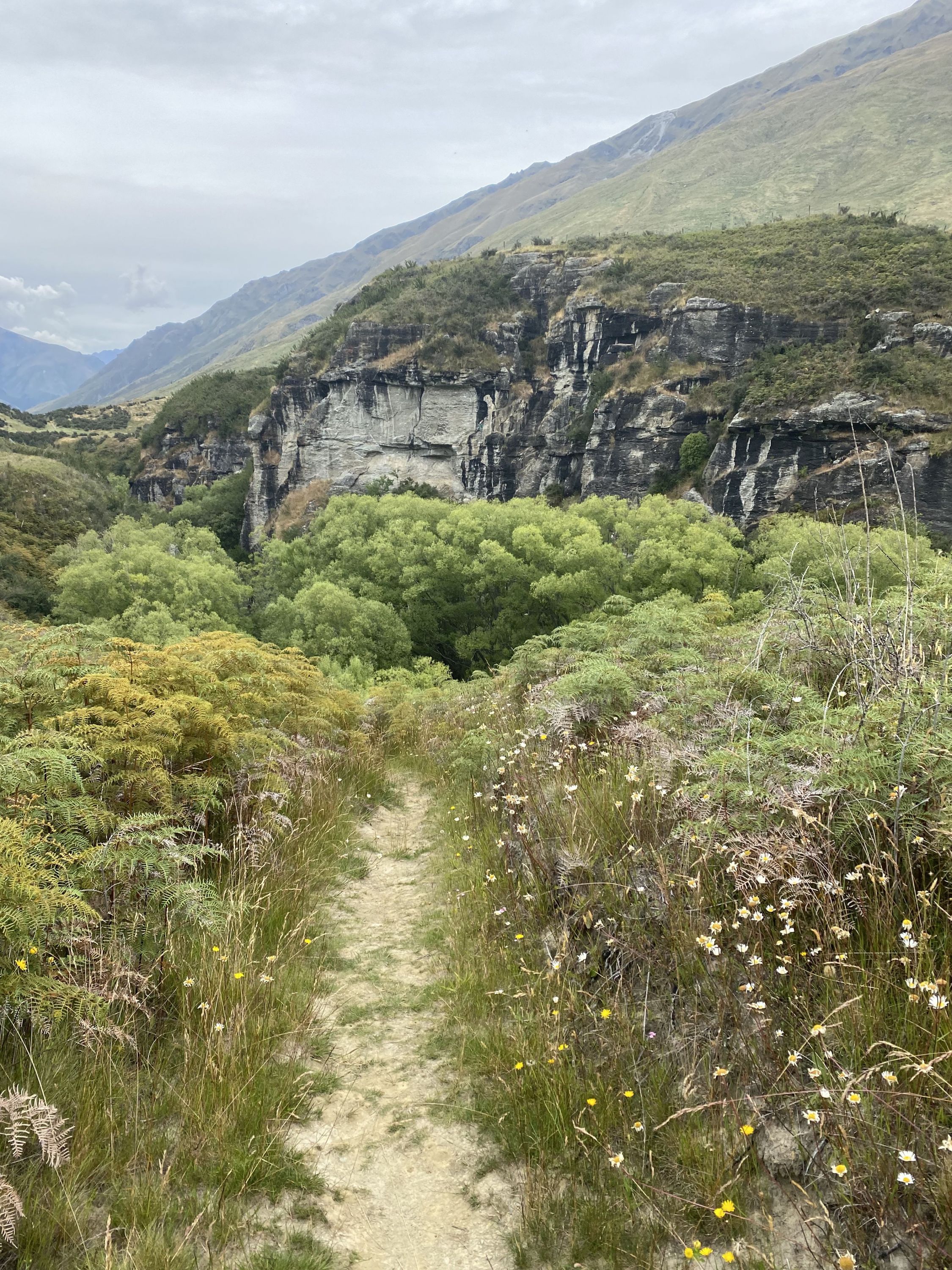 Motatapu River Track, Otago - Trails Photo Gallery - Wild Things