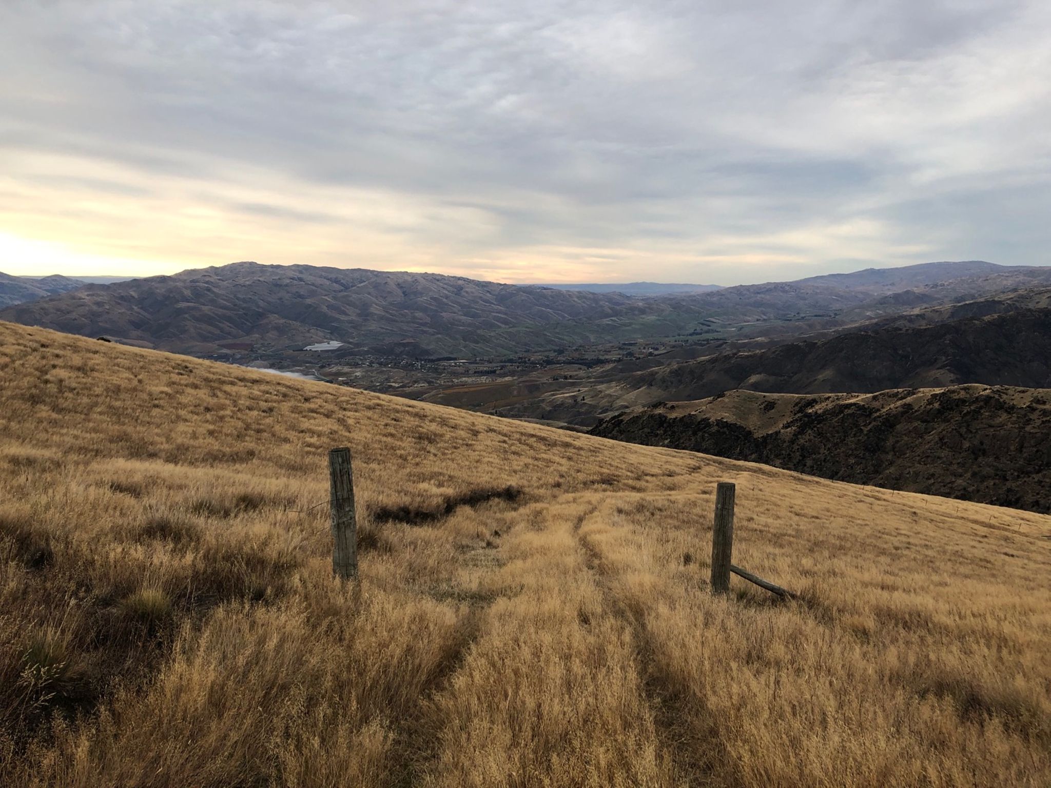 Mt Difficulty Loop, Otago - Trails Photo Gallery - Wild Things