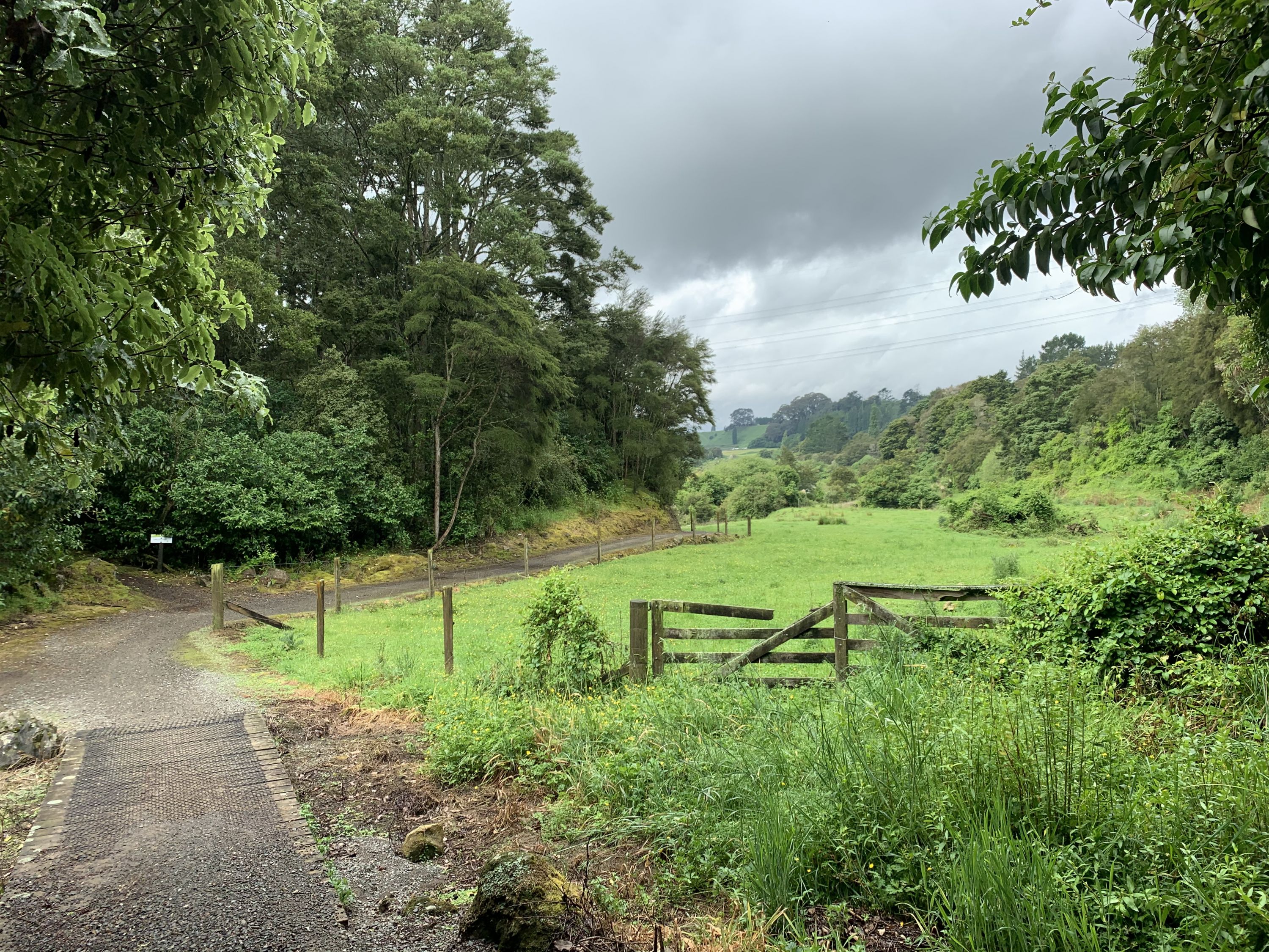 Little Waipa to Arapuni, Waikato - Trails Photo Gallery - Wild Things