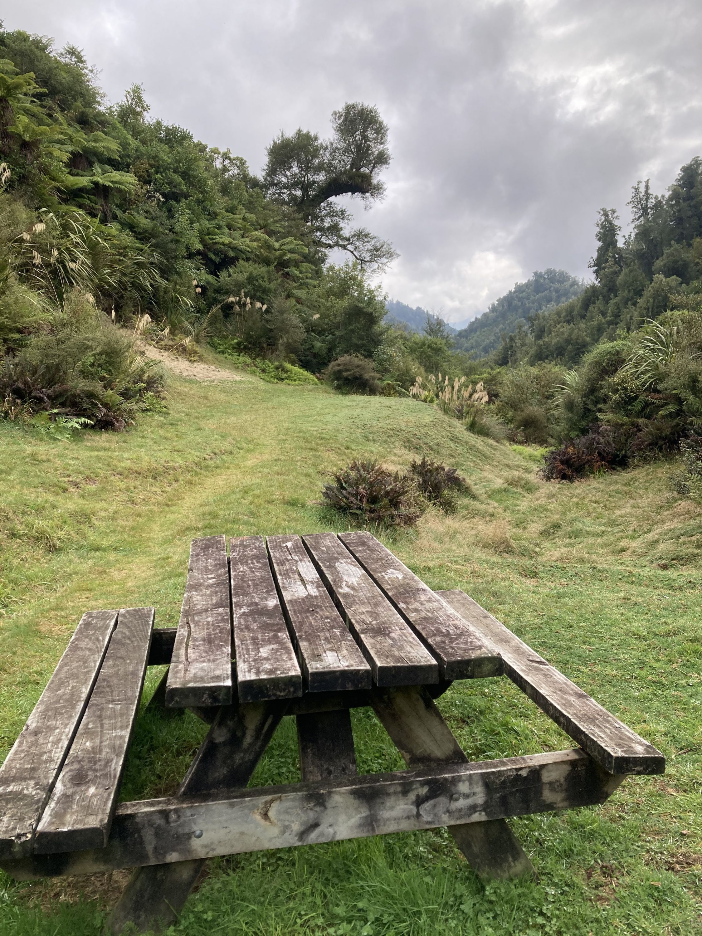 Mangamate Loop, Bay of Plenty - Trails Photo Gallery - Wild Things