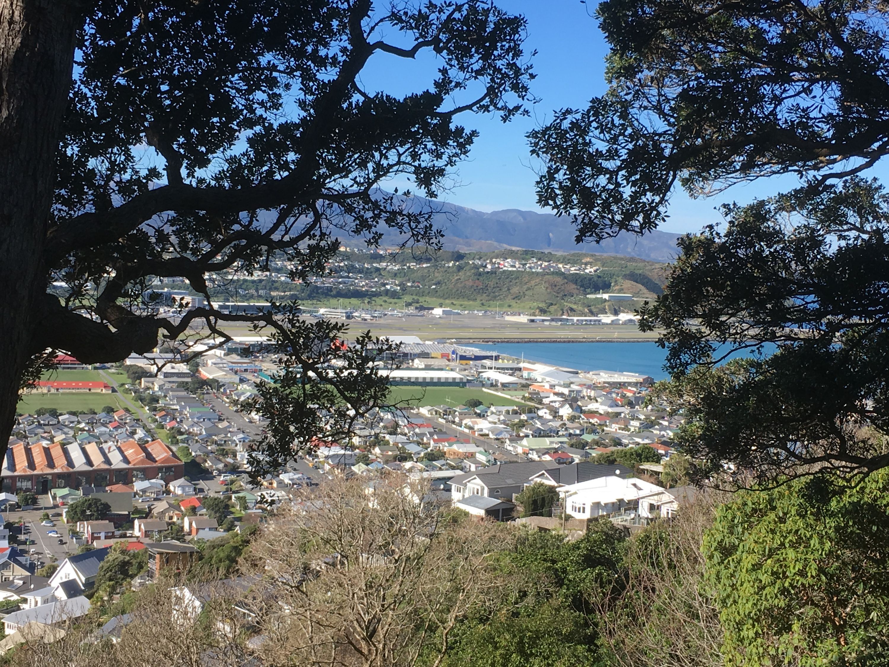 Southern Walkway, Wellington - Trails Photo Gallery - Wild Things