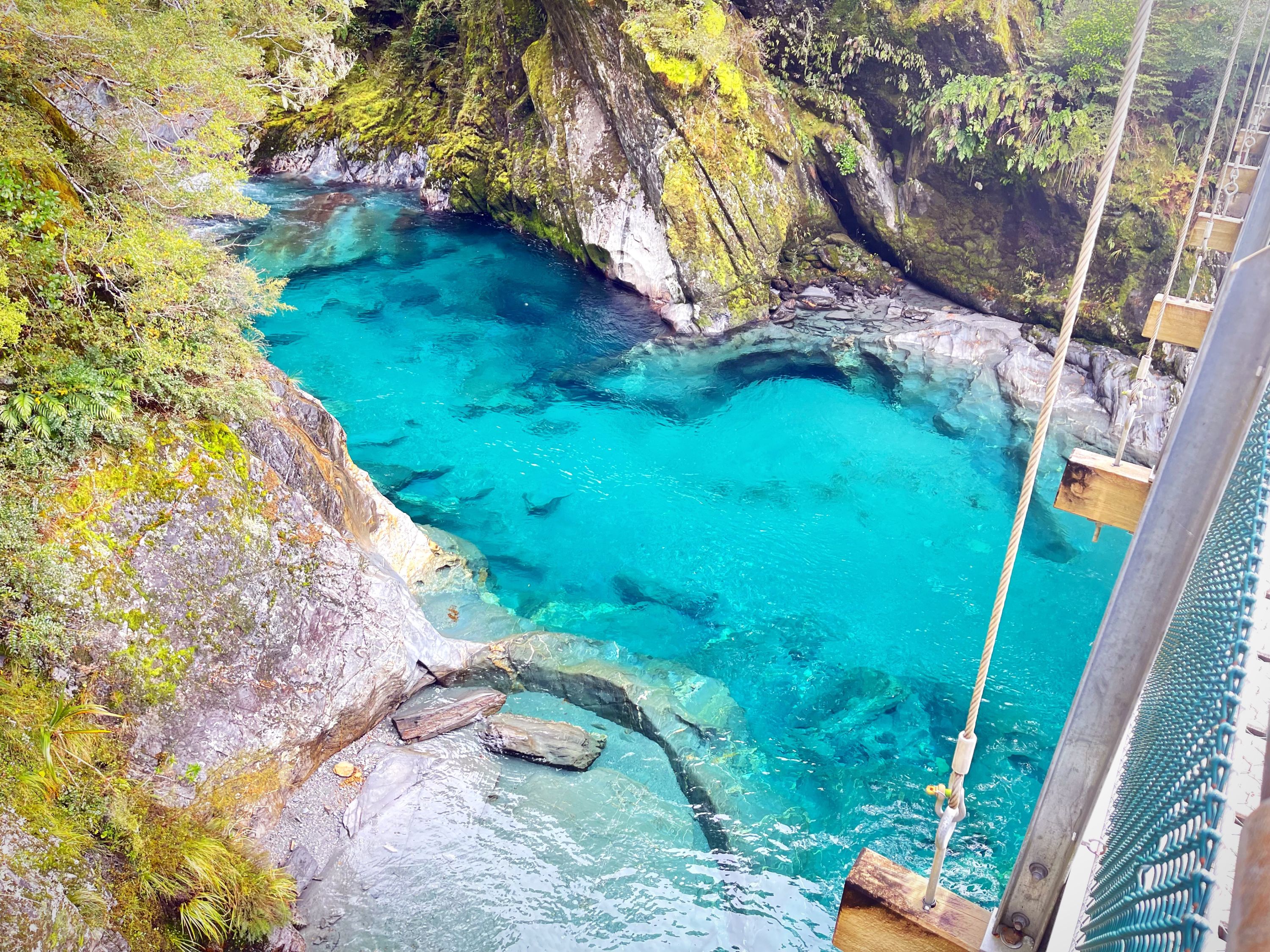 Blue Pools Plus, West Coast - Trails Photo Gallery - Wild Things