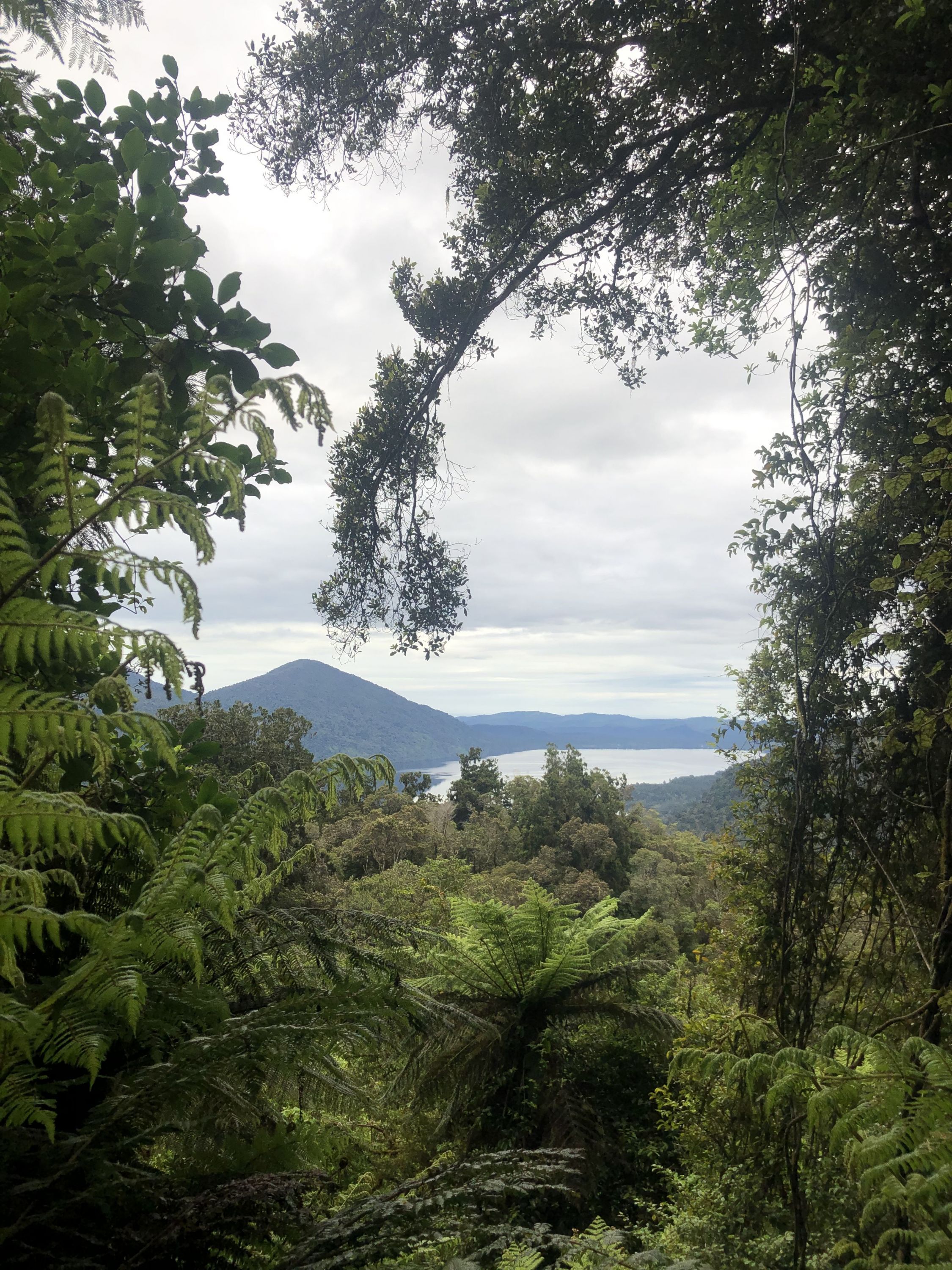 Mt Brown Hut, West Coast - Trails Photo Gallery - Wild Things