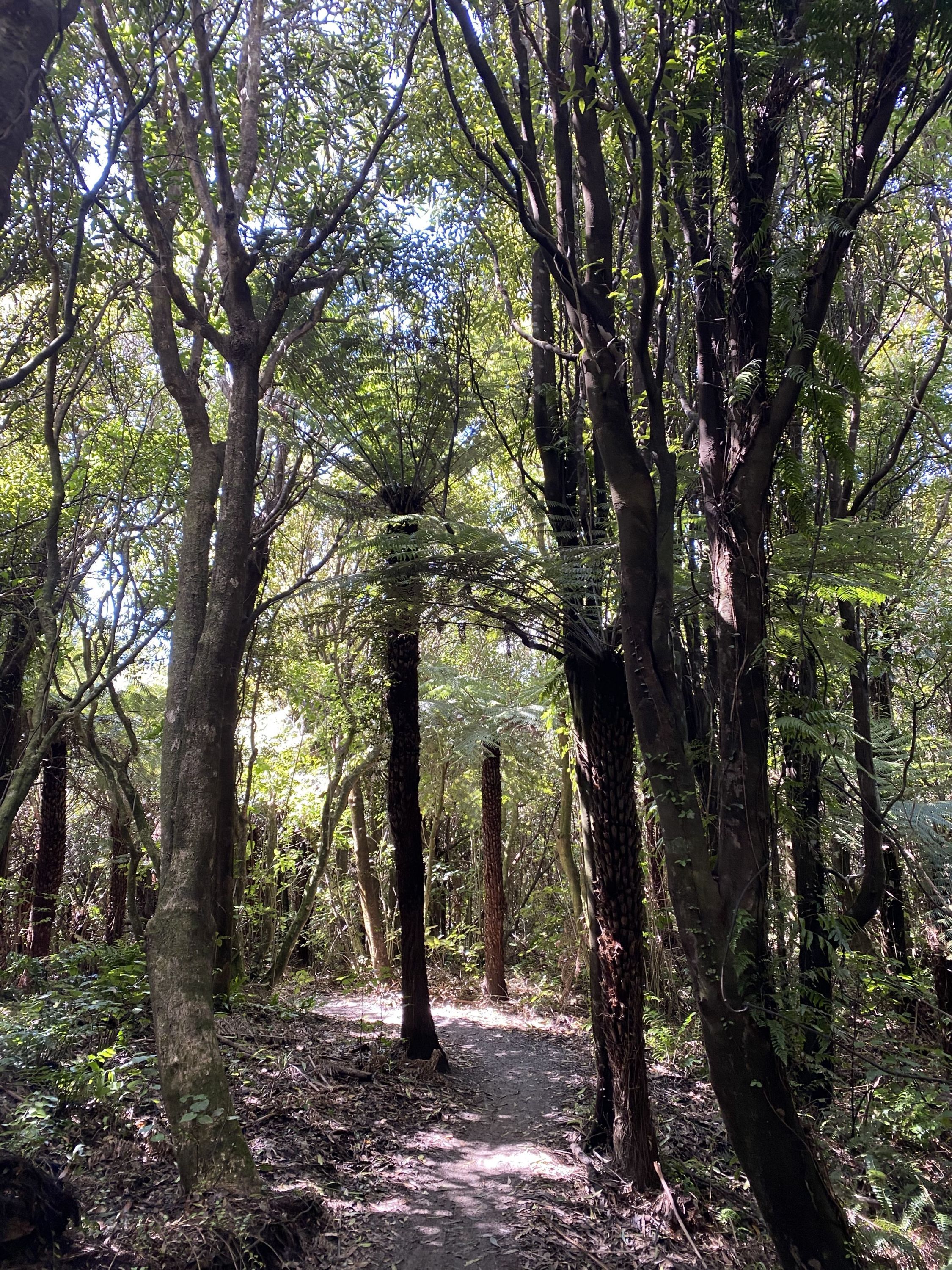 Colonial Knob Ultimate Stair Workout, Wellington - Trails Photo Gallery ...