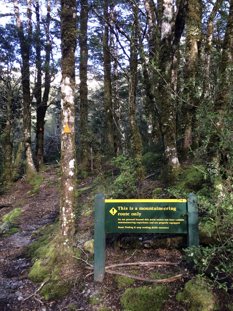 Rome Ridge/Rough Creek Alpine Circuit, Canterbury - Trails Photo ...