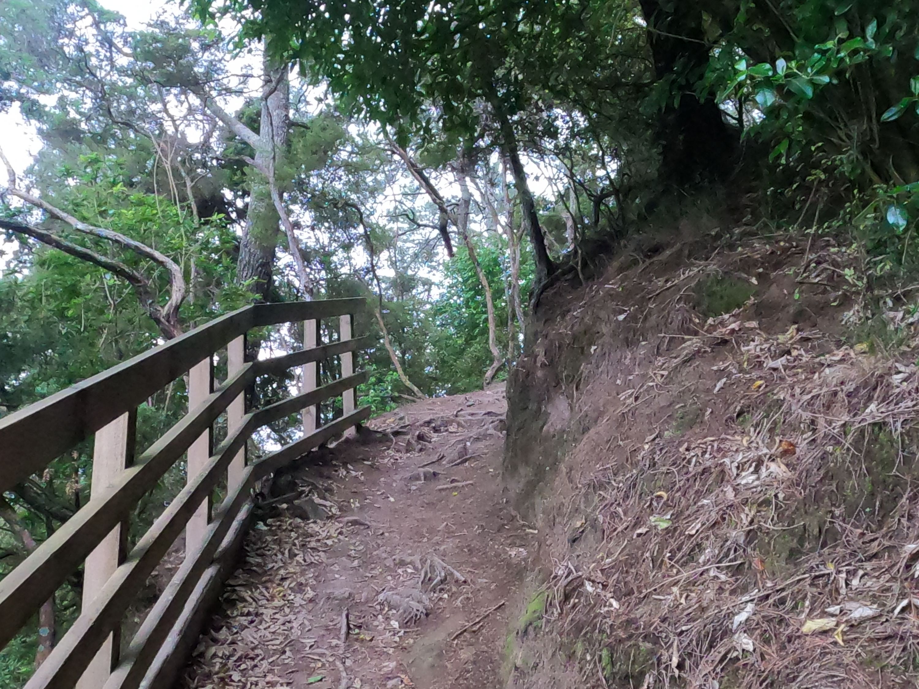 Arapuni Swing Bridge to Jones Landing , Waikato - Trails Photo Gallery ...