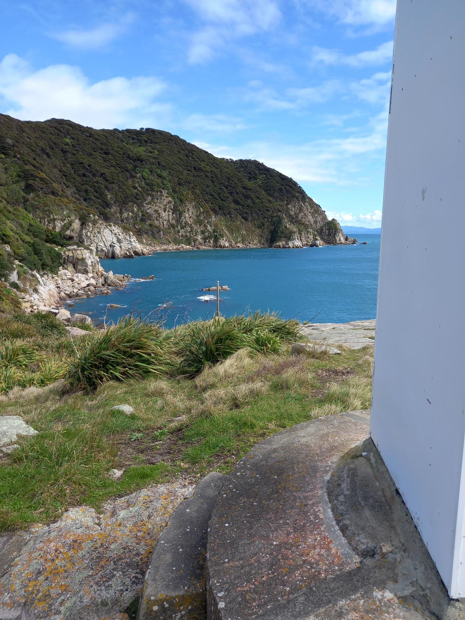 Separation Point Loop, Tasman - Trails Photo Gallery - Wild Things