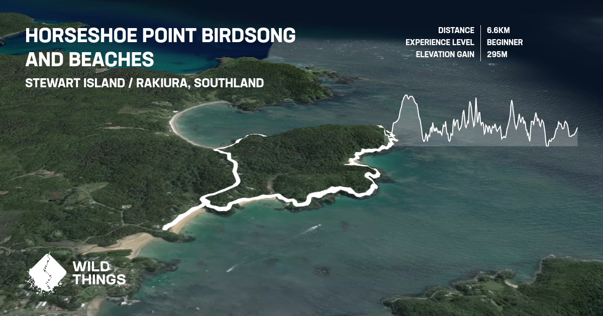 Horseshoe Point birdsong and beaches, Southland, New Zealand - Trail ...