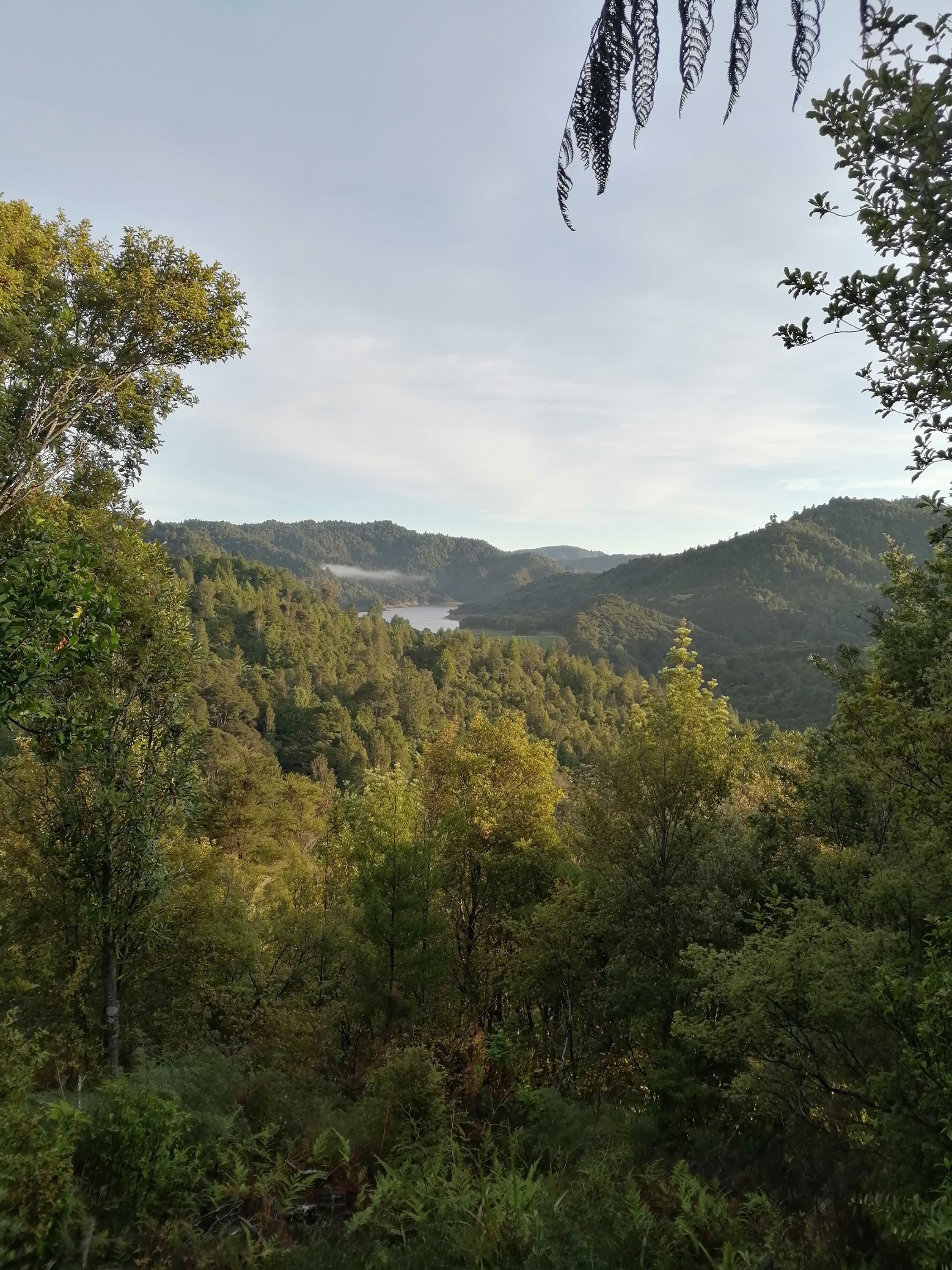 Hunua Hillbilly , Auckland - Trails Photo Gallery - Wild Things