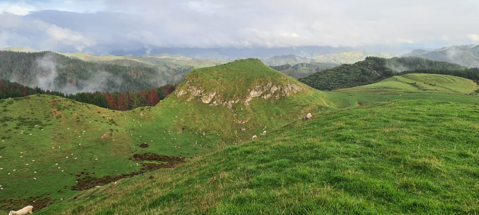 Karamu Walkway South, Waikato - Trails Photo Gallery - Wild Things