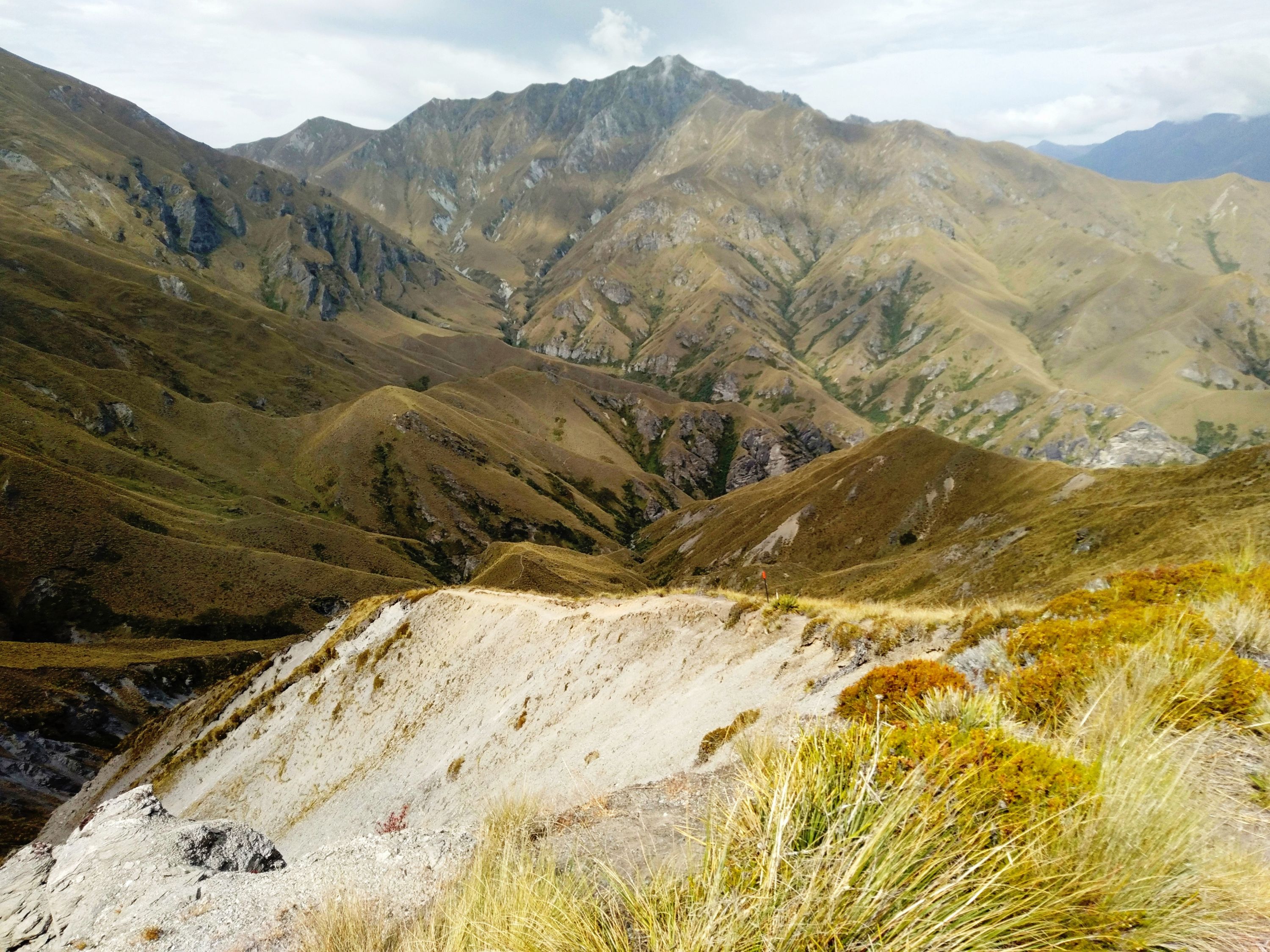 Motatapu Track - Full Monty, Otago - Trails Photo Gallery - Wild Things