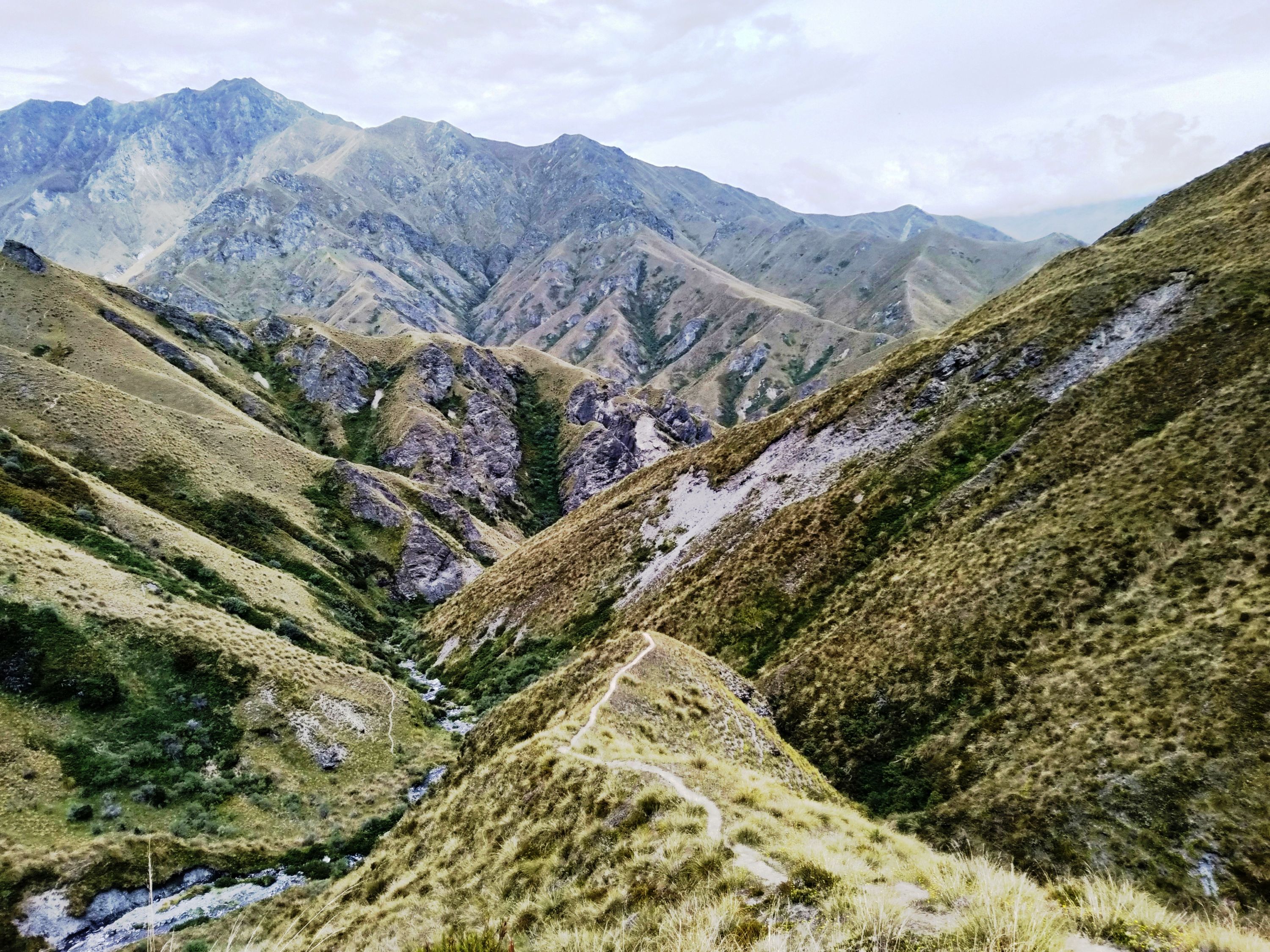 Motatapu Track - Full Monty, Otago - Trails Photo Gallery - Wild Things