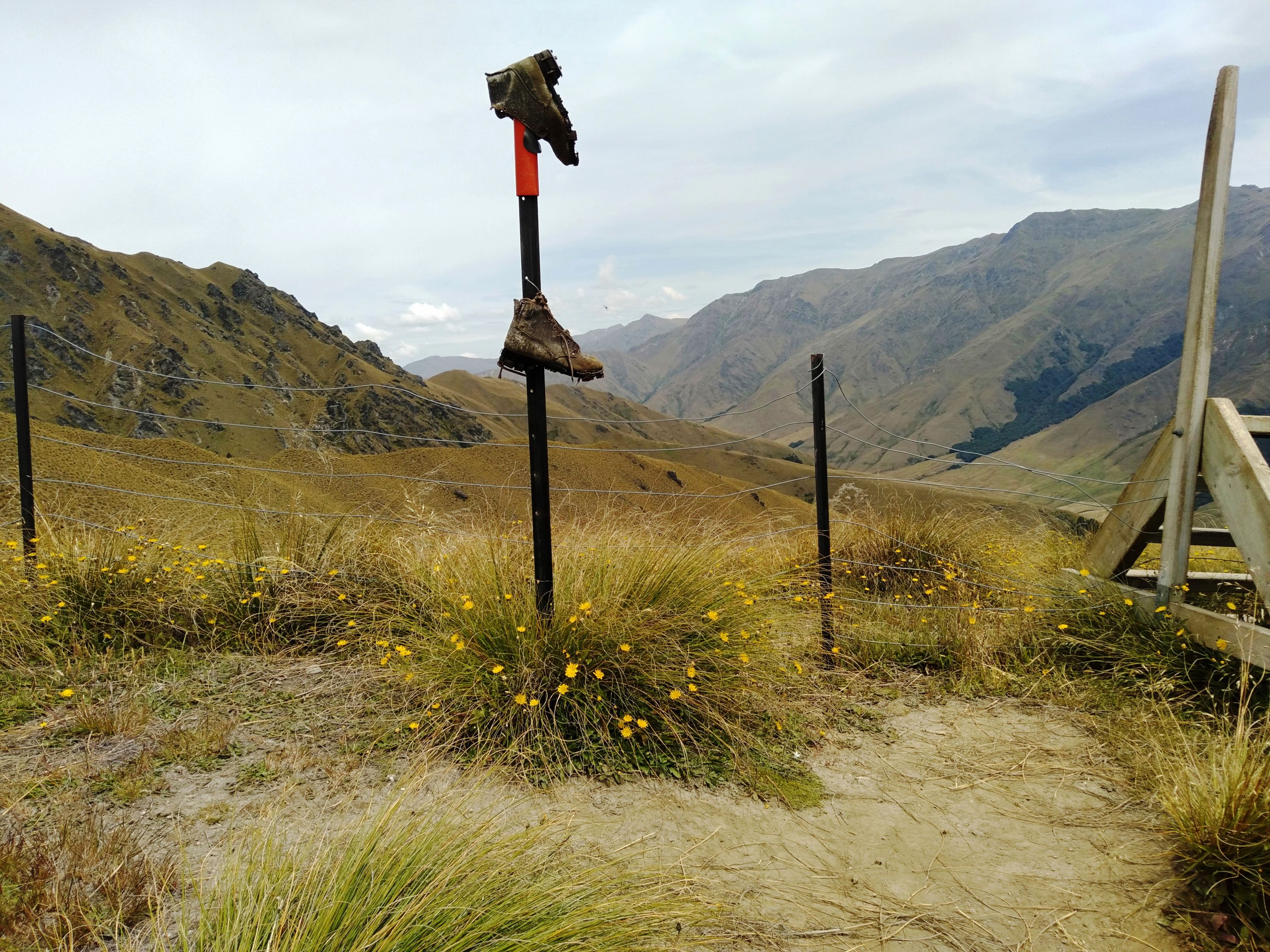 Motatapu Track - Full Monty, Otago - Trails Photo Gallery - Wild Things