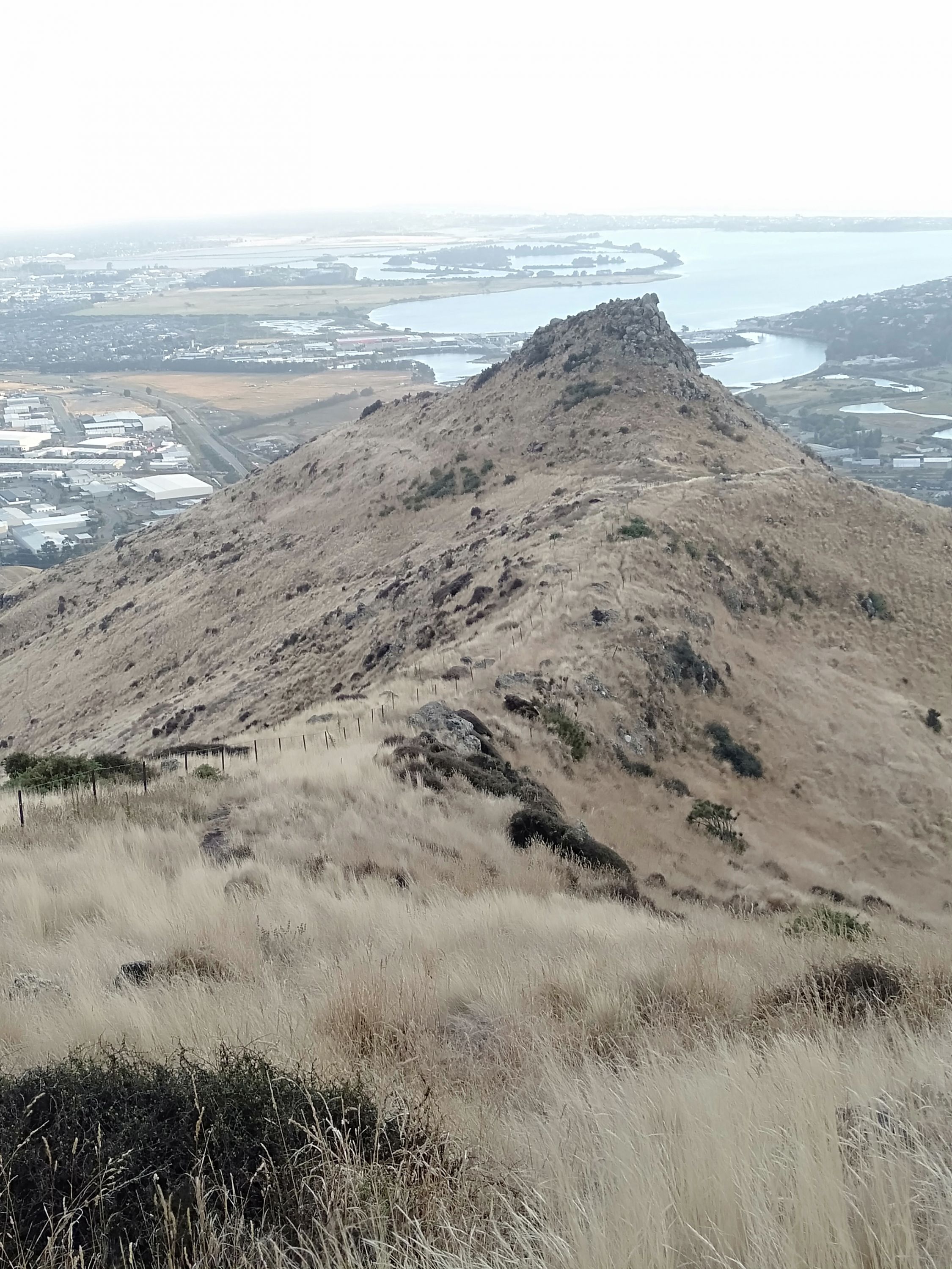 Tussock Hill Ridge, Canterbury - Trails Photo Gallery - Wild Things