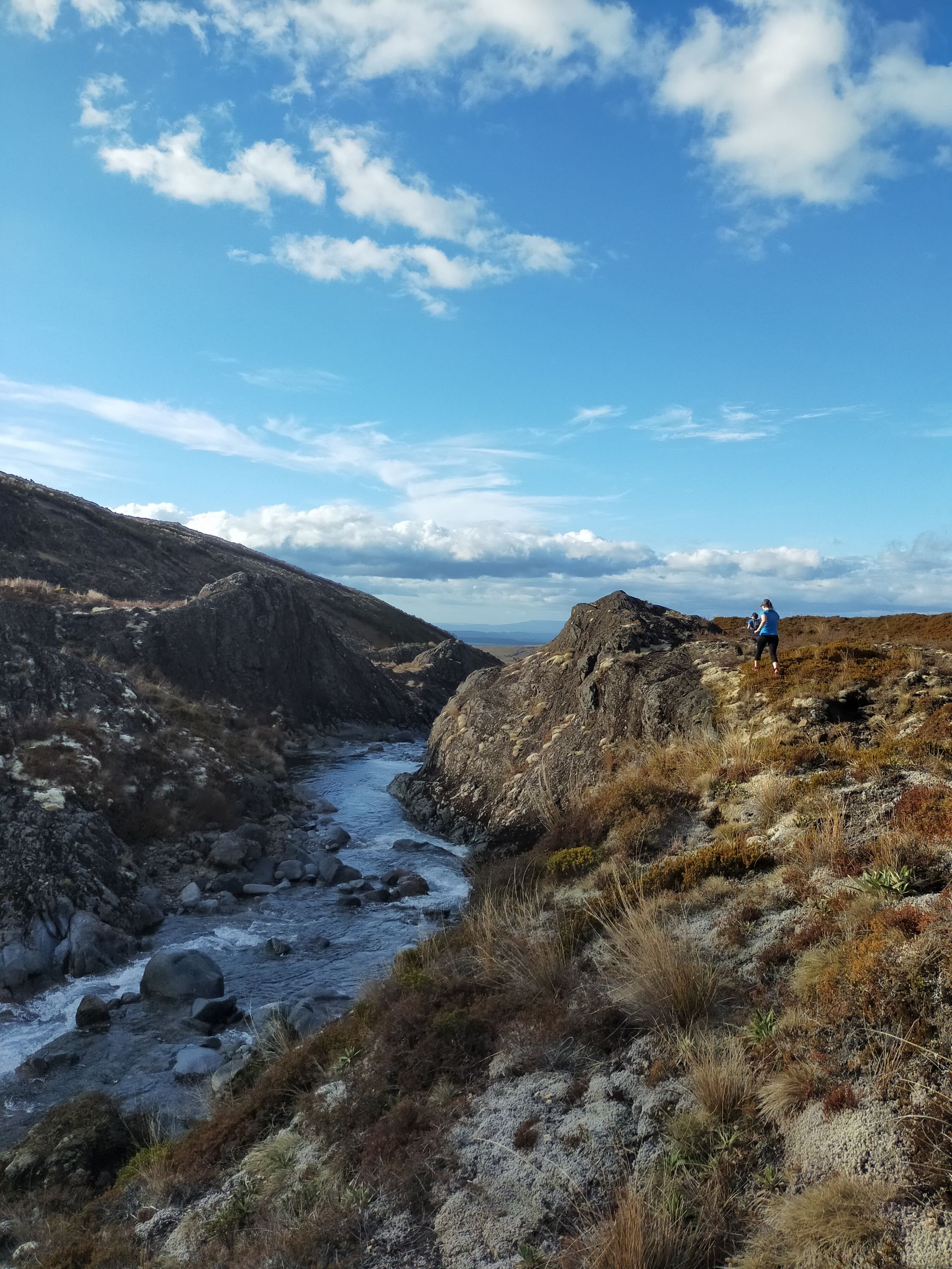 Whakapapa/Wairere off the beaten track, Manawatu - Wanganui - Trails ...