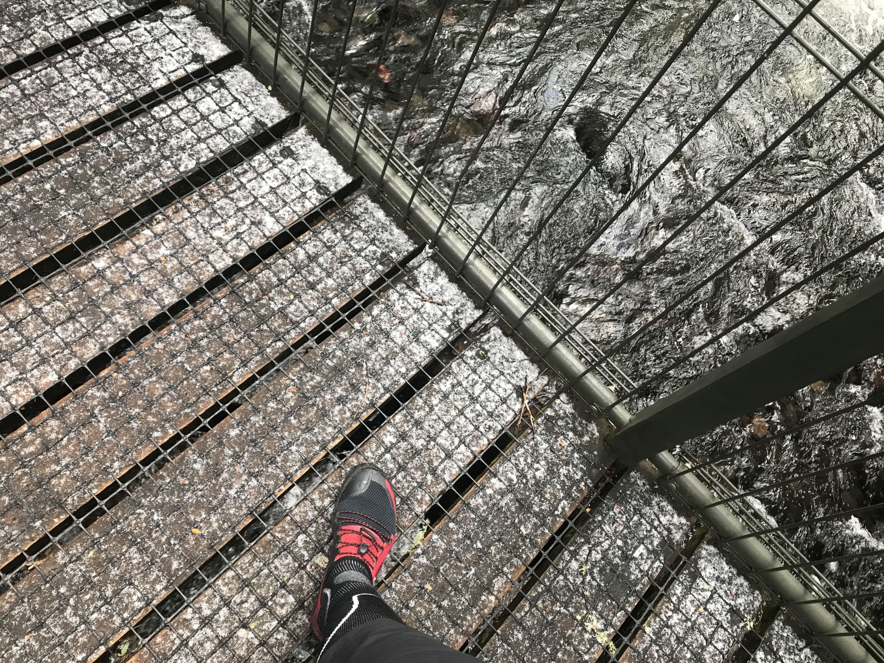 Ohakune Town/Forest Loop, Manawatu - Wanganui - Trails Photo Gallery ...