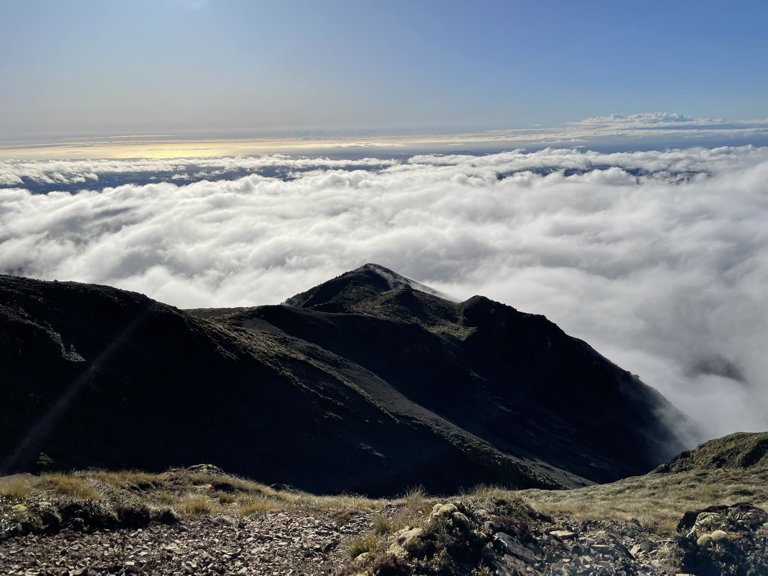 Kaweka Klassik, Hawkes Bay - Trails Photo Gallery - Wild Things