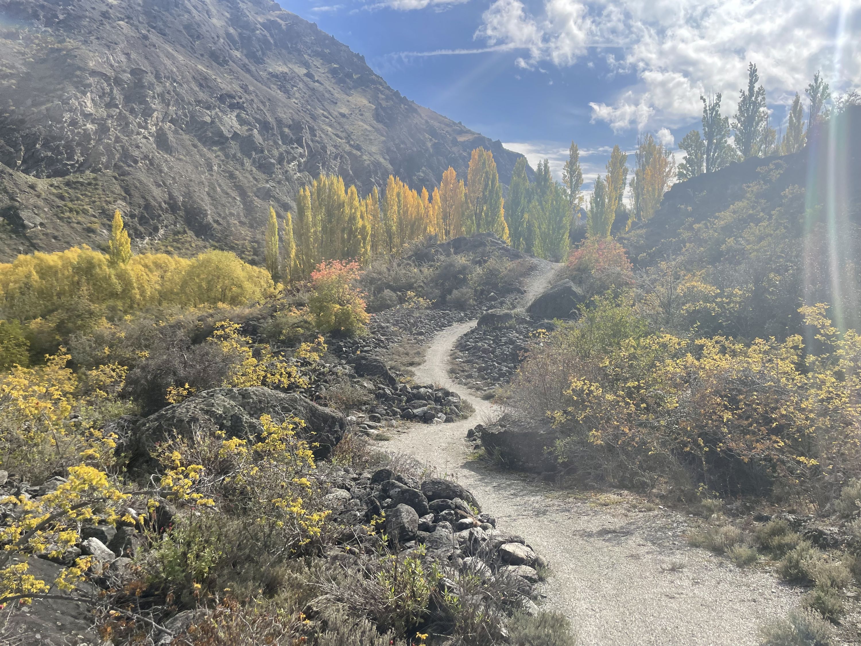 Kawarau River Track, Otago - Trails Photo Gallery - Wild Things