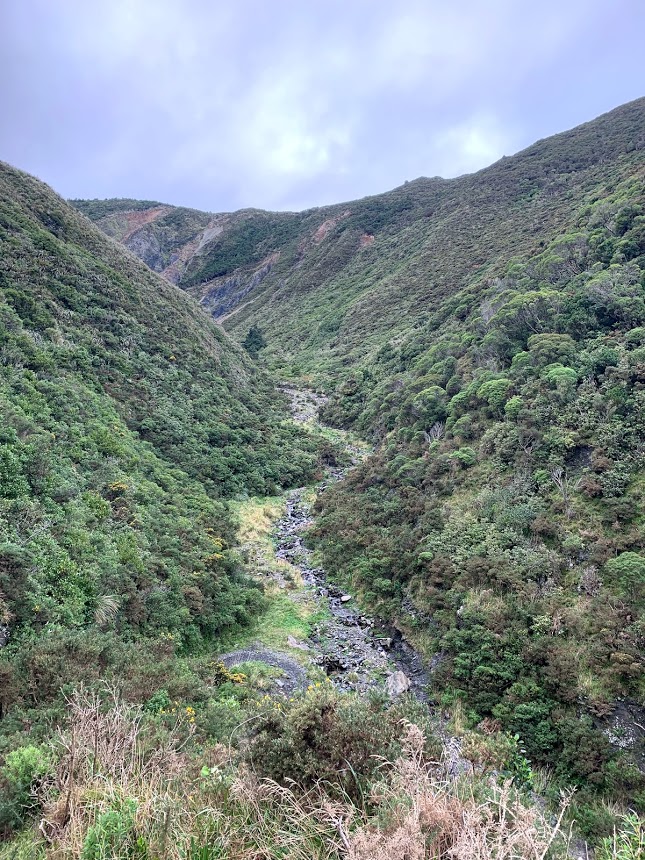 Rimutaka Incline, Wellington - Trails Photo Gallery - Wild Things
