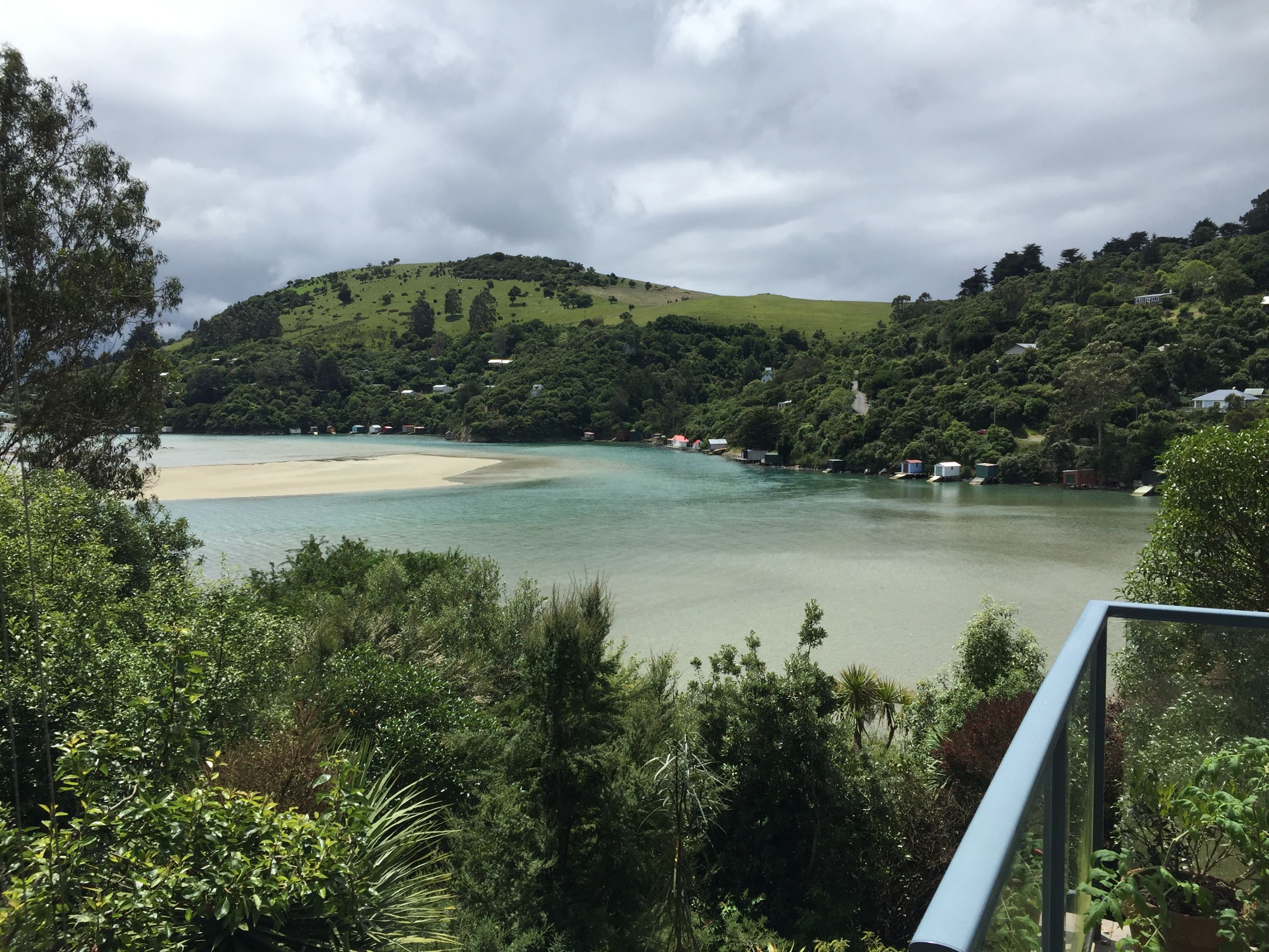 Purakaunui Beach Loop, Otago - Trails Photo Gallery - Wild Things