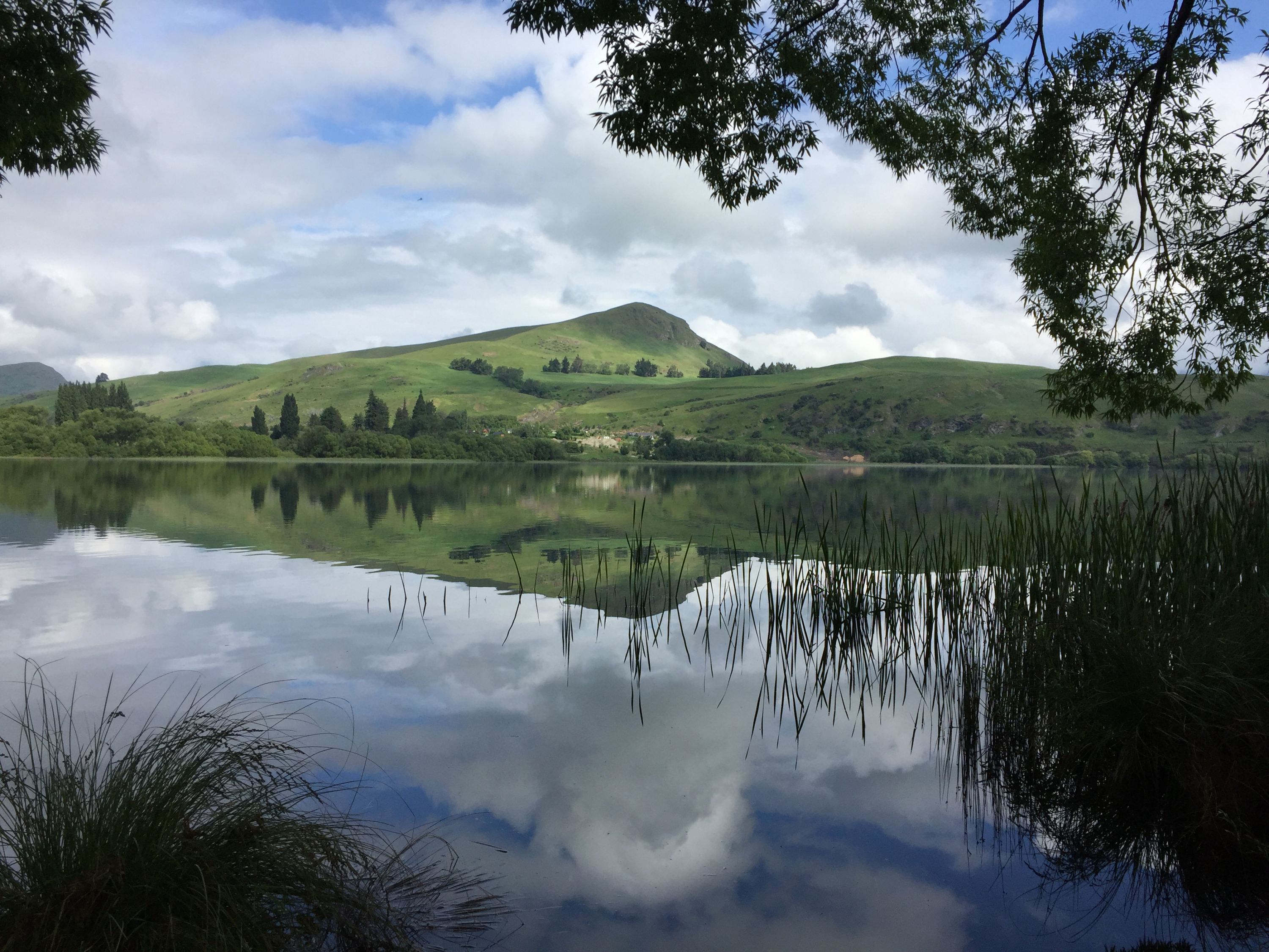 Lake Hayes Circuit, Otago - Trails Photo Gallery - Wild Things