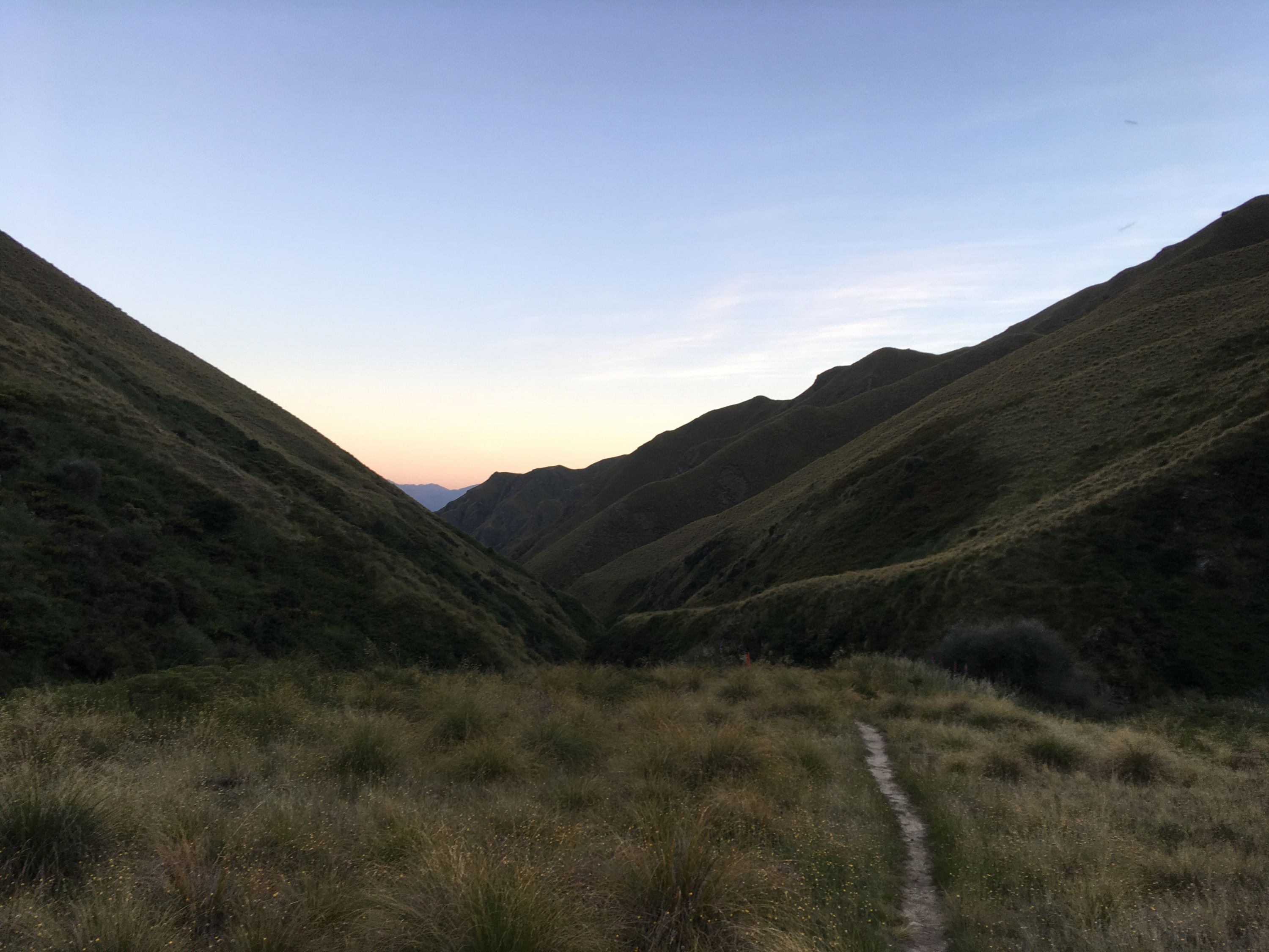 Fern Burn Hut, Otago - Trails Photo Gallery - Wild Things