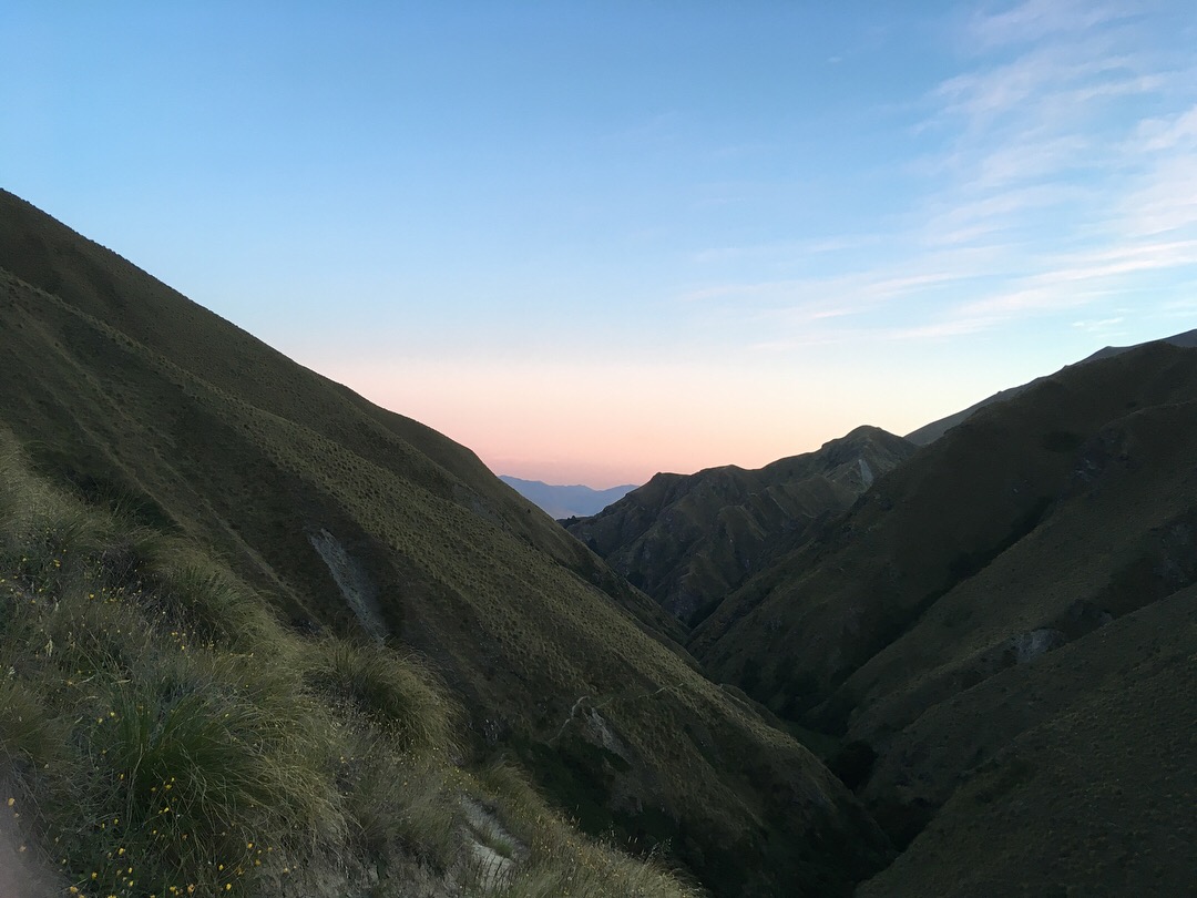 Fern Burn Hut, Otago - Trails Photo Gallery - Wild Things