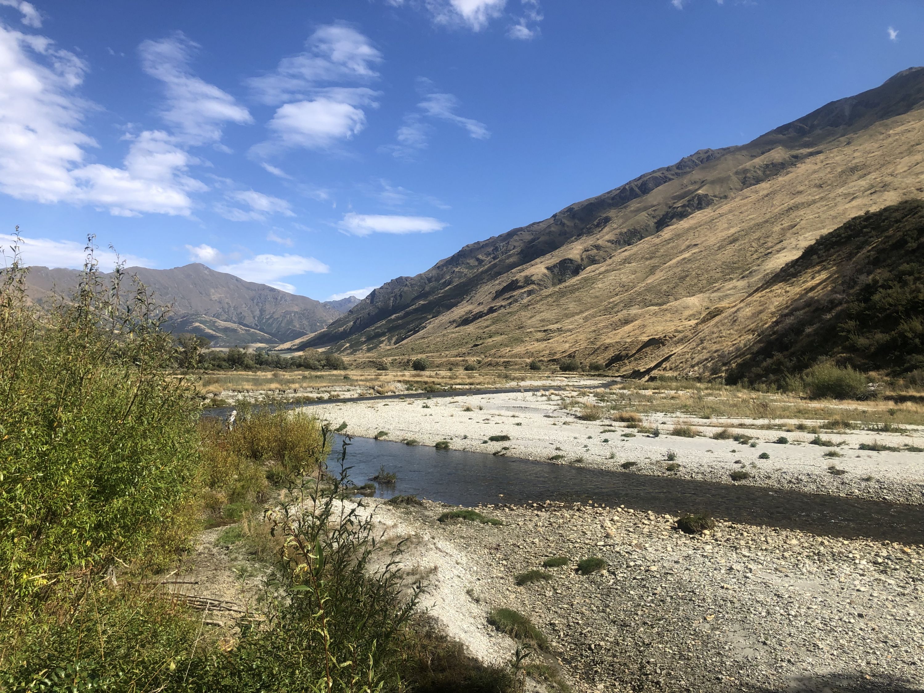 Motatapu River Track, Otago - Trails Photo Gallery - Wild Things