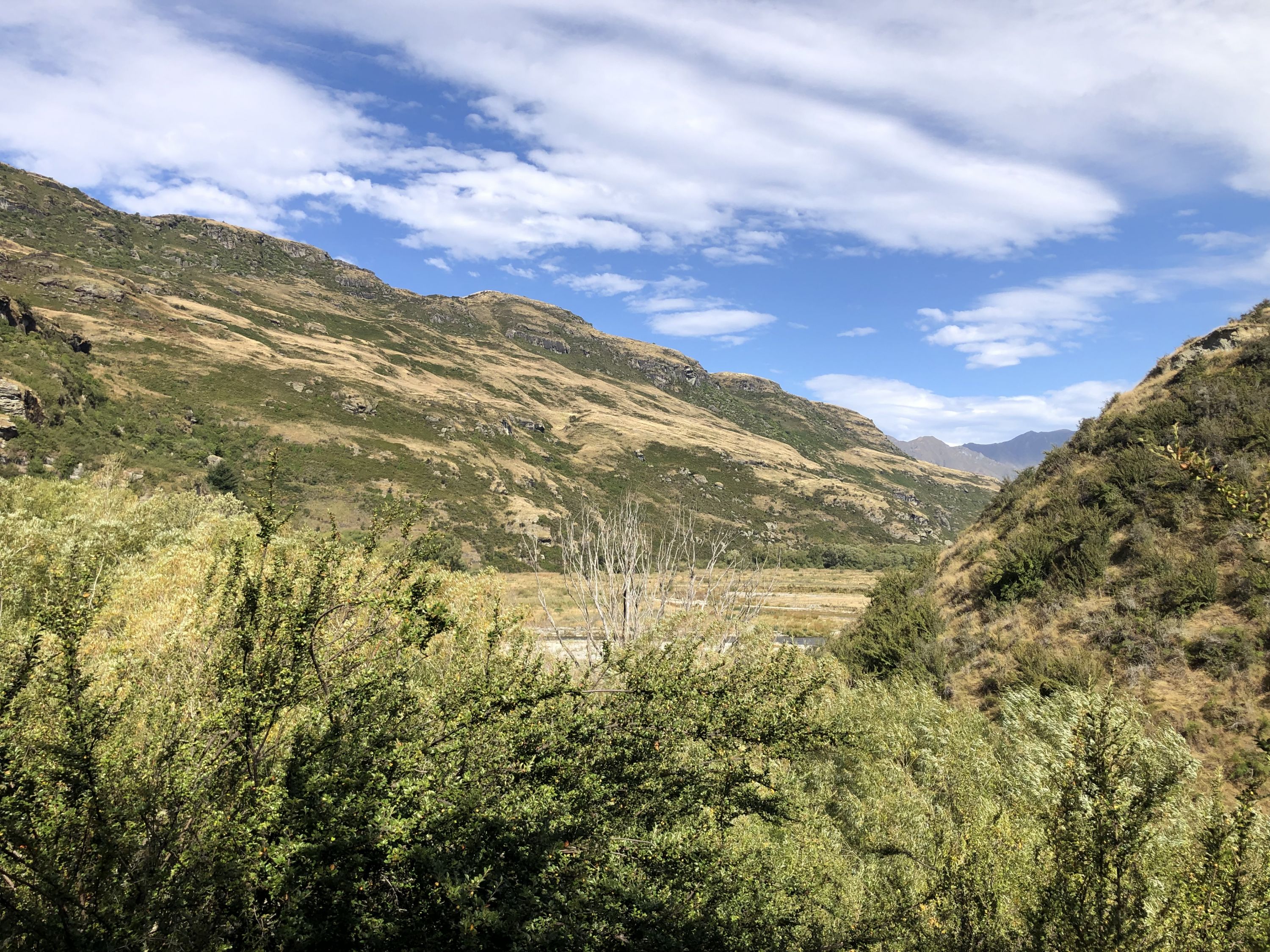 Motatapu River Track, Otago - Trails Photo Gallery - Wild Things