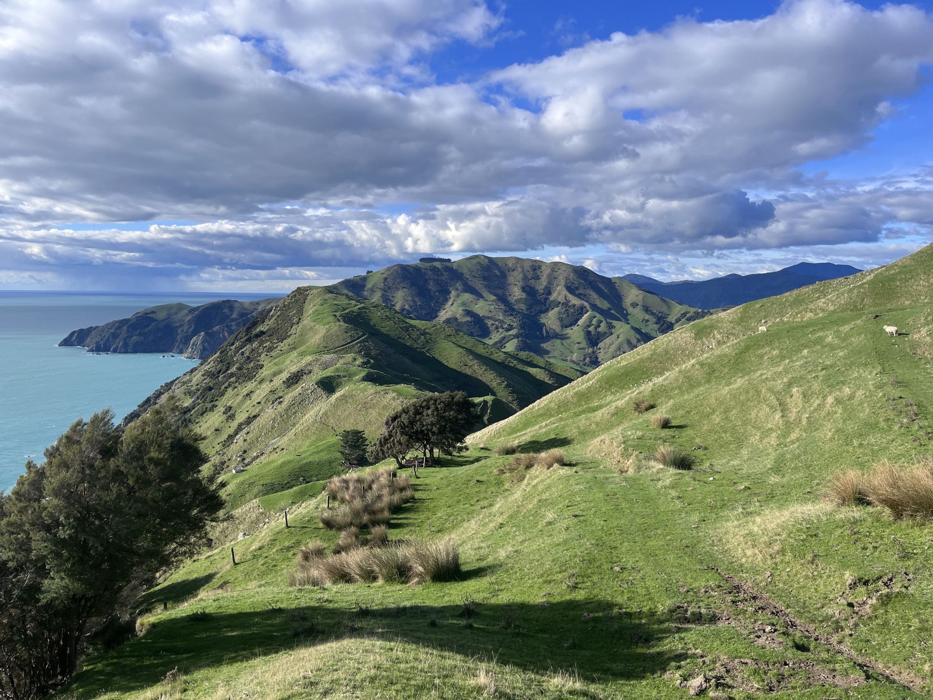 Cable Bay - Glenduan, Nelson - Trails Photo Gallery - Wild Things