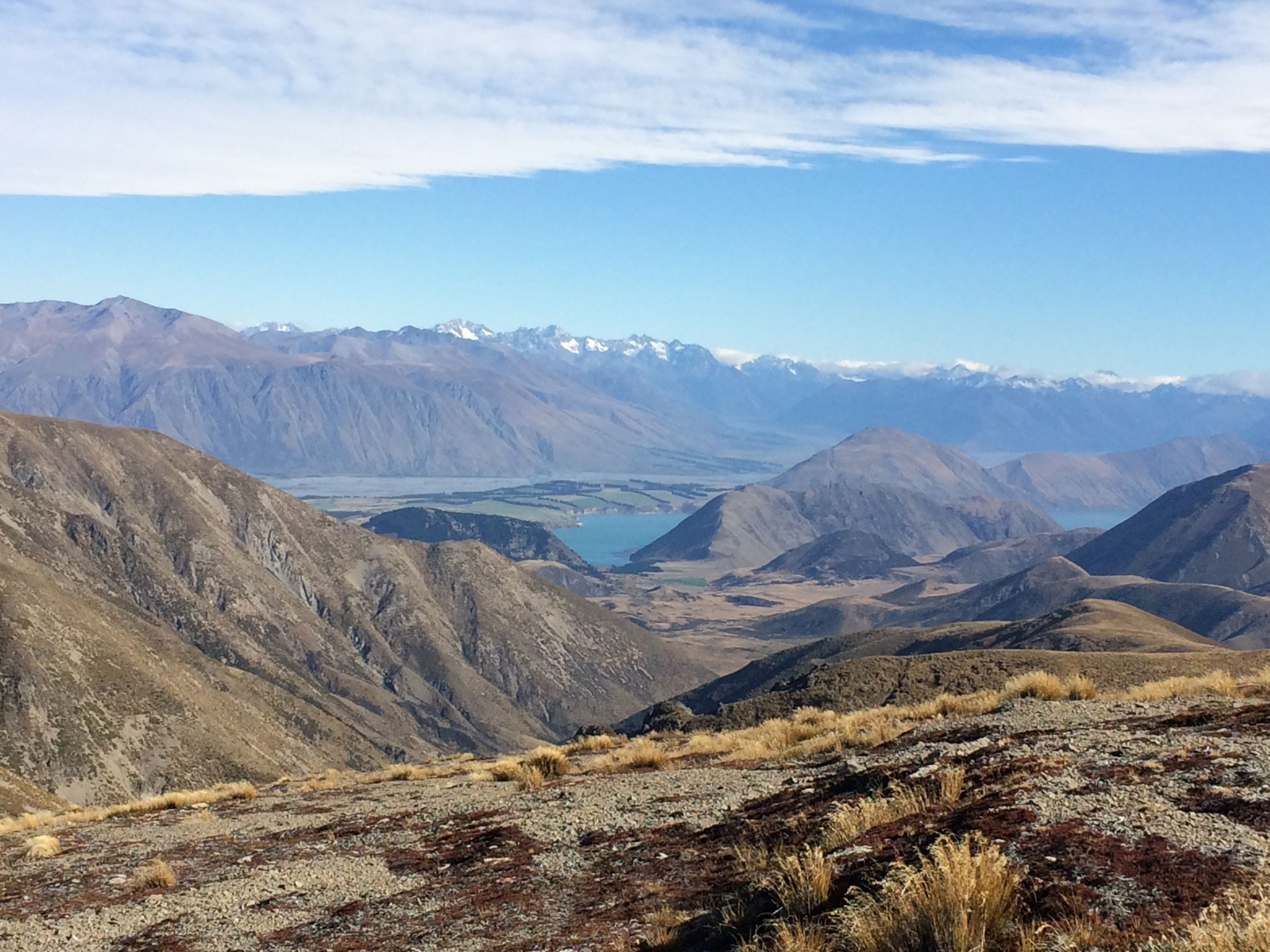 Rabbiting around Benmore, Canterbury - Trails Photo Gallery - Wild Things
