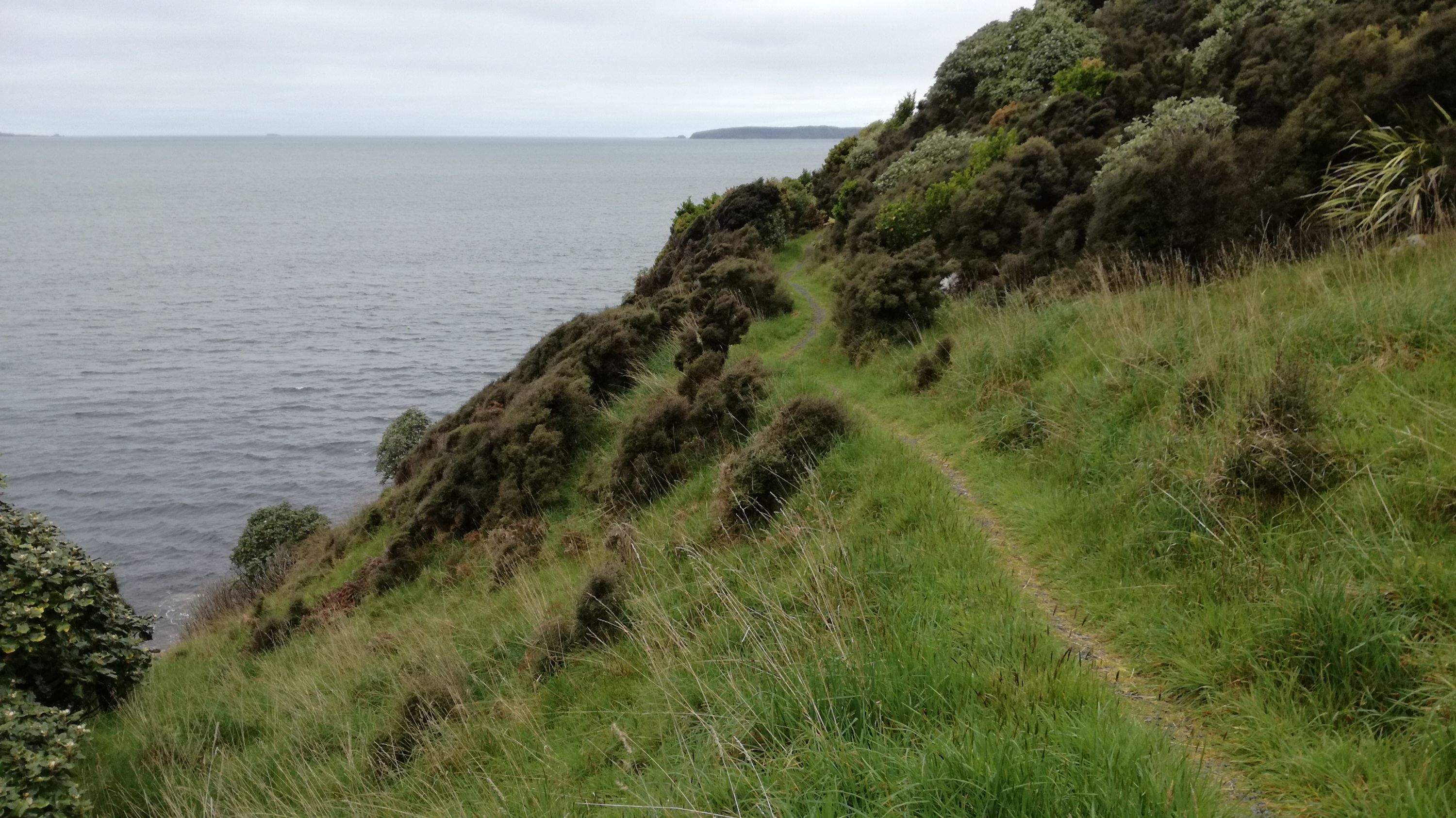 Bragging About Horseshoe Point, Southland - Trails Photo Gallery - Wild ...