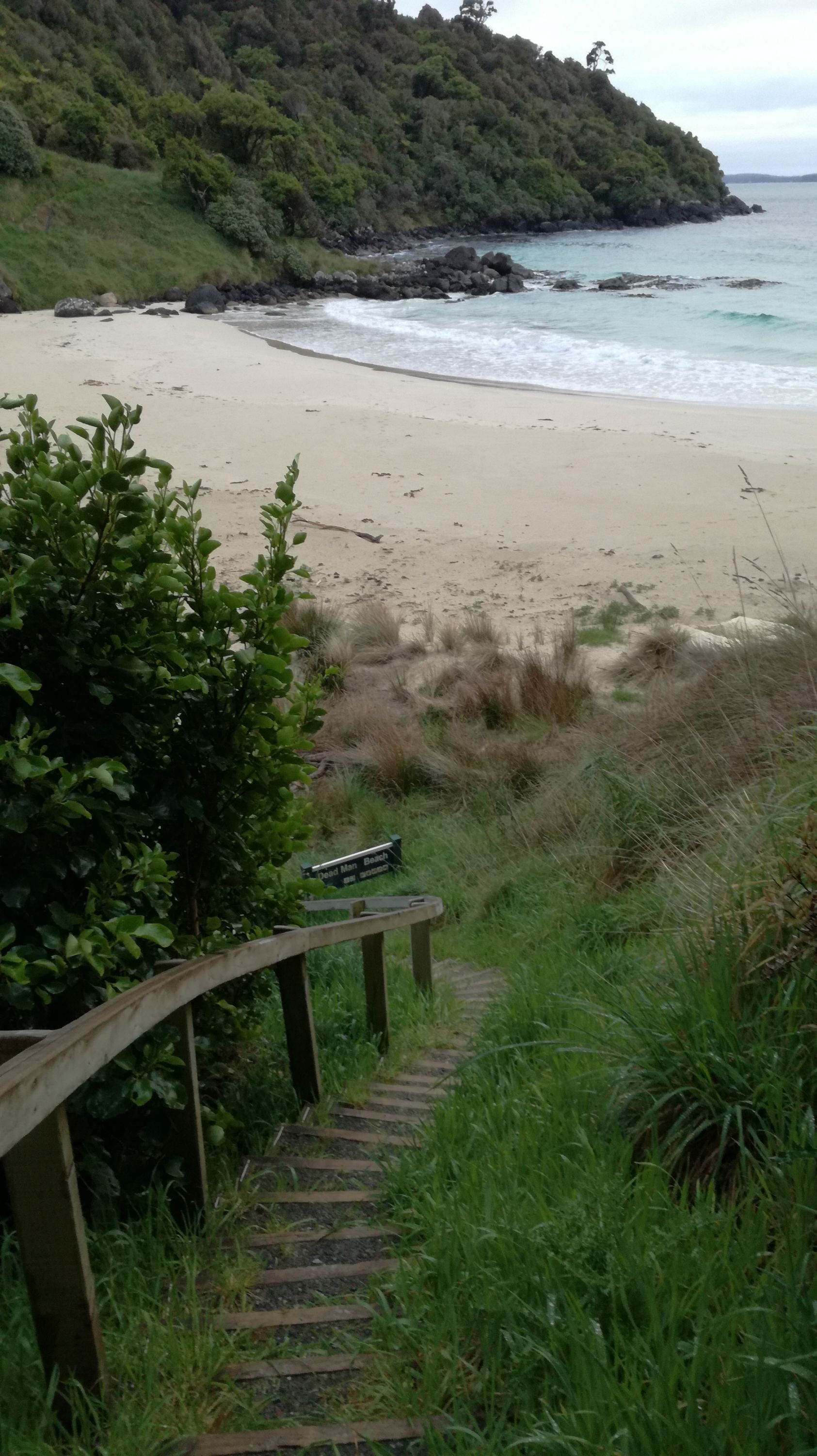 Bragging About Horseshoe Point, Southland - Trails Photo Gallery - Wild ...