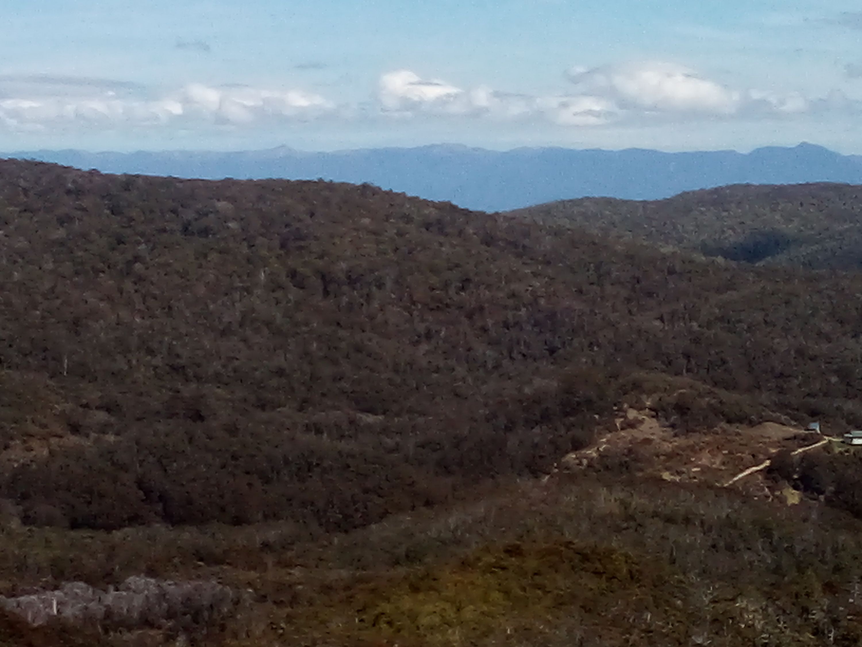Waiuta Ghost Town, West Coast - Trails Photo Gallery - Wild Things