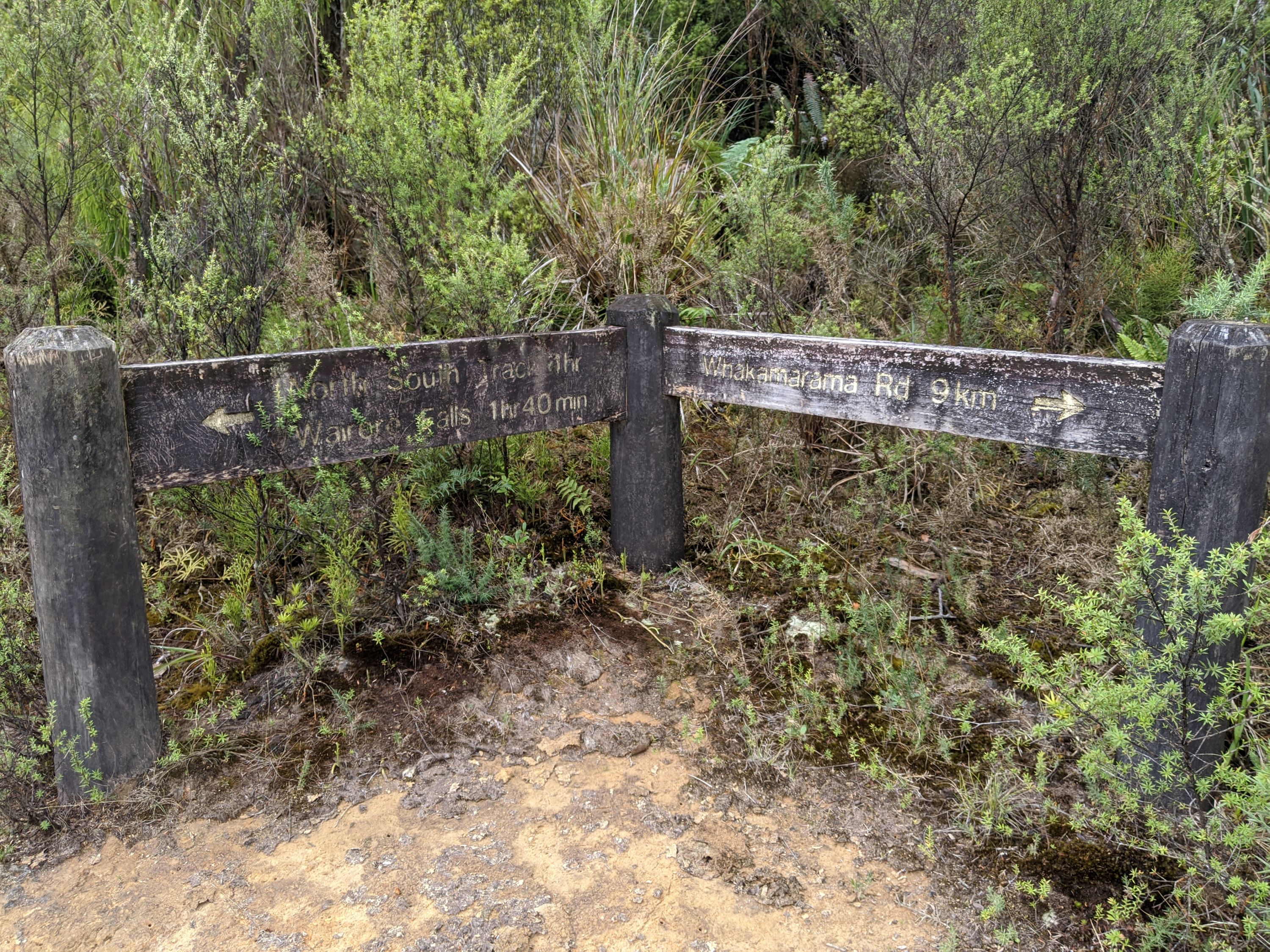 Twice Over The Kamais , Bay of Plenty - Trails Photo Gallery - Wild Things