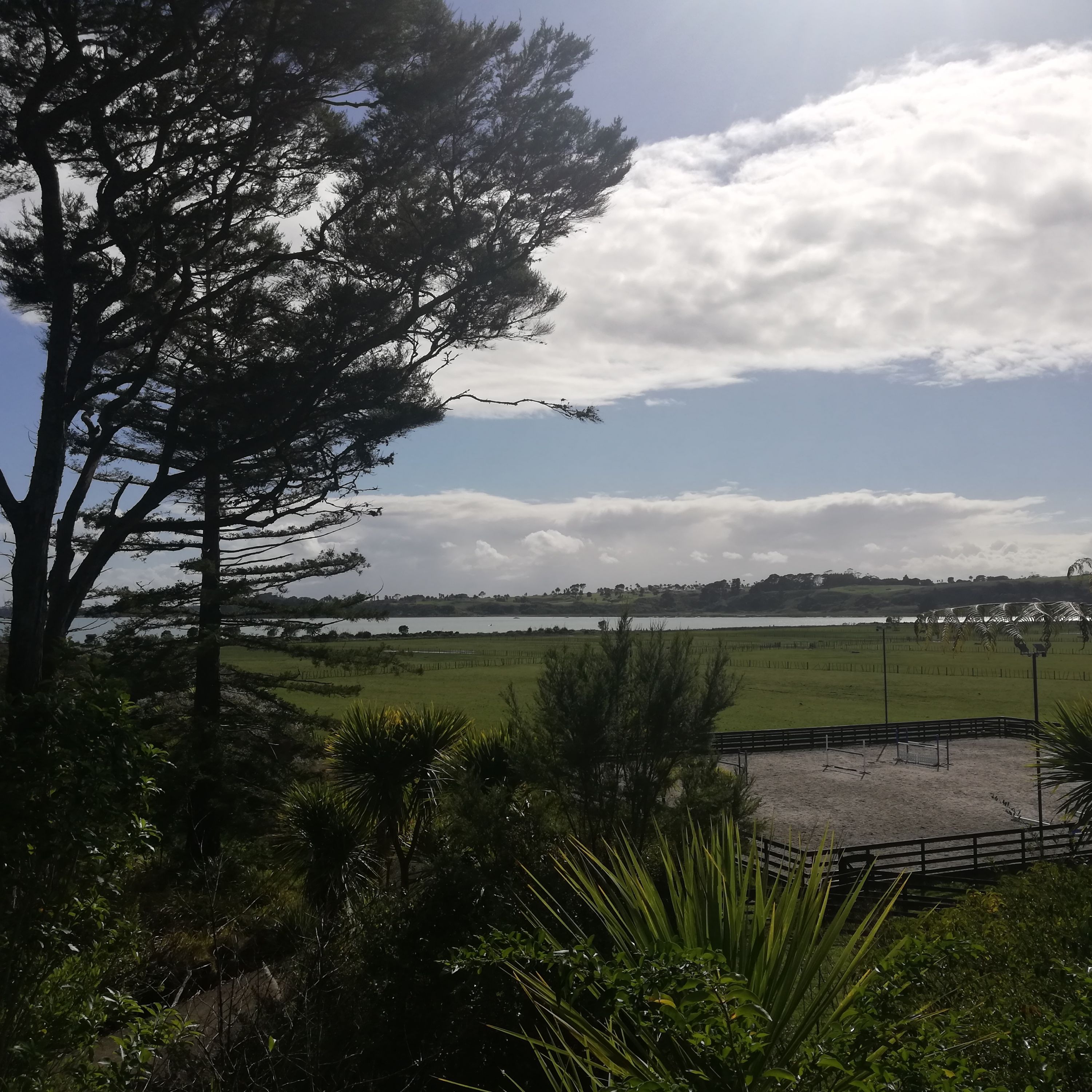 Whitford Coastal Trail Loop , Auckland - Trails Photo Gallery - Wild Things