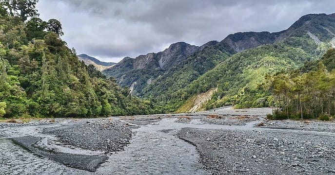 Mukamuka Munter, Wellington - Trails Photo Gallery - Wild Things