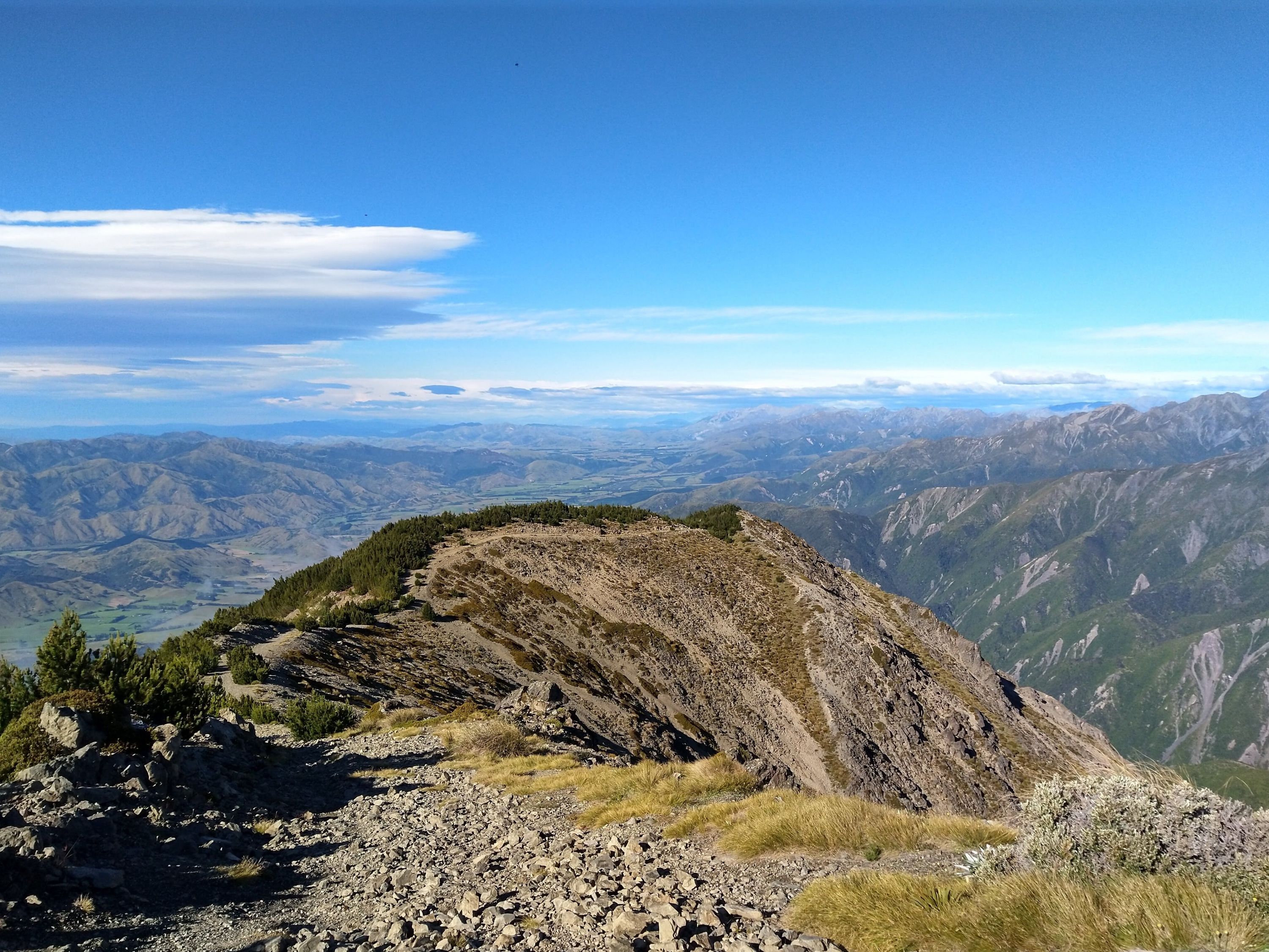 Fantastic Mt Fyffe , Canterbury - Trails Photo Gallery - Wild Things