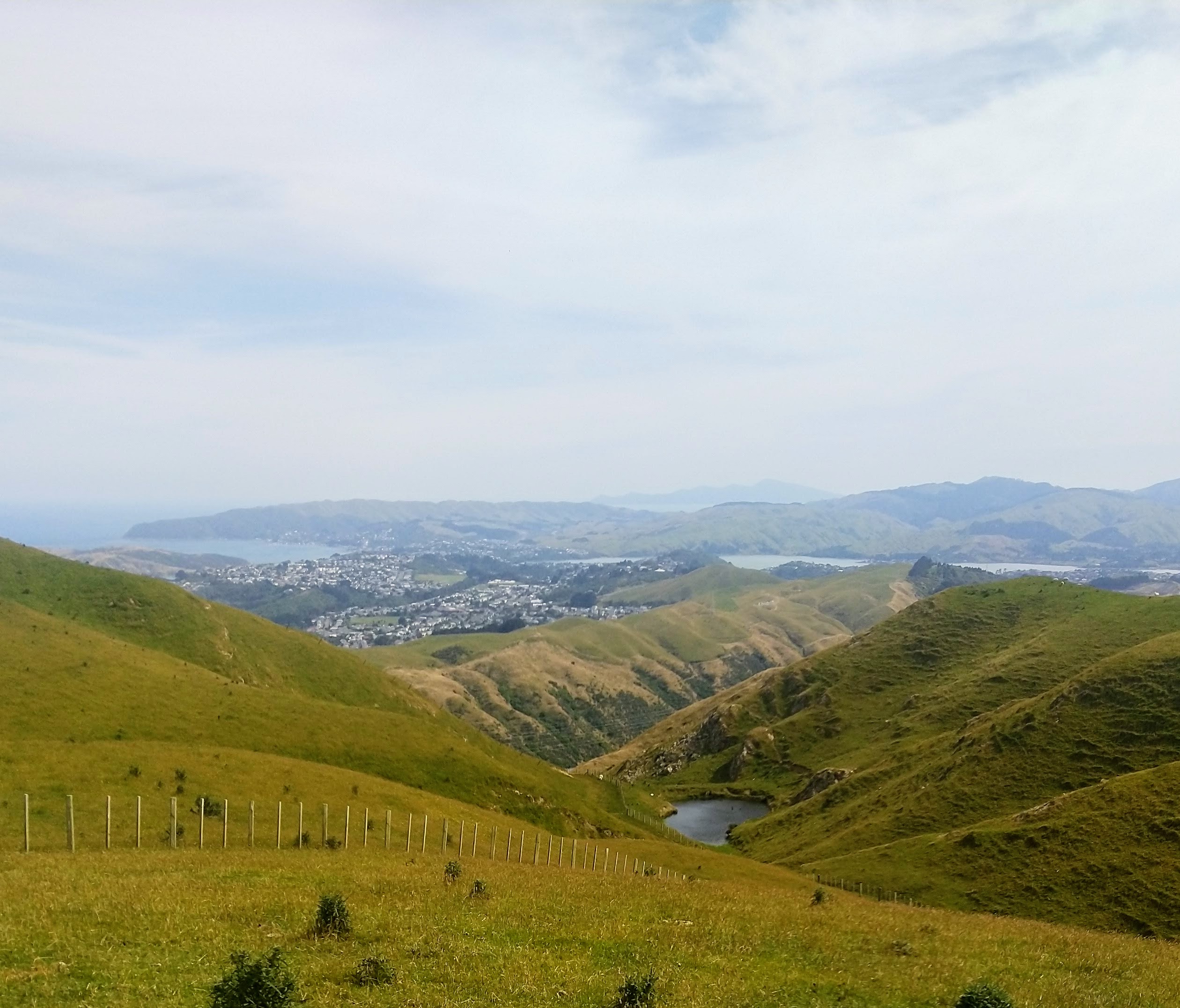 Puke Ariki Traverse, Wellington - Trails Photo Gallery - Wild Things
