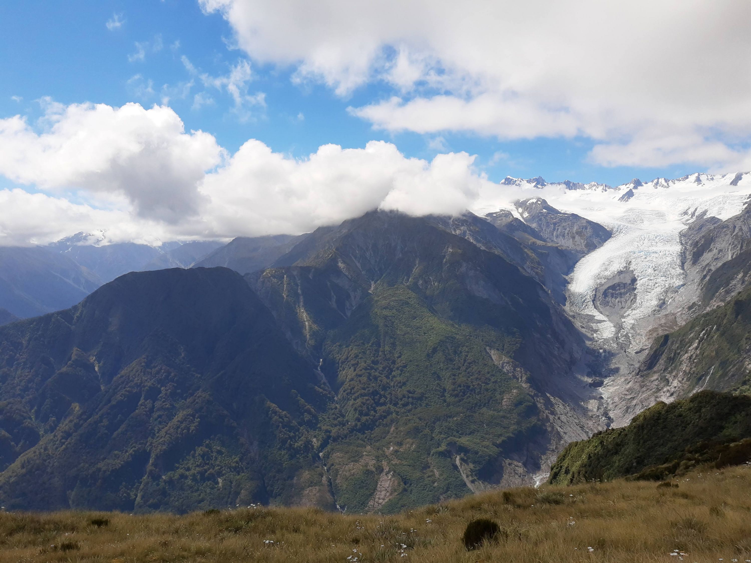 Alex Knob, West Coast - Trails Photo Gallery - Wild Things