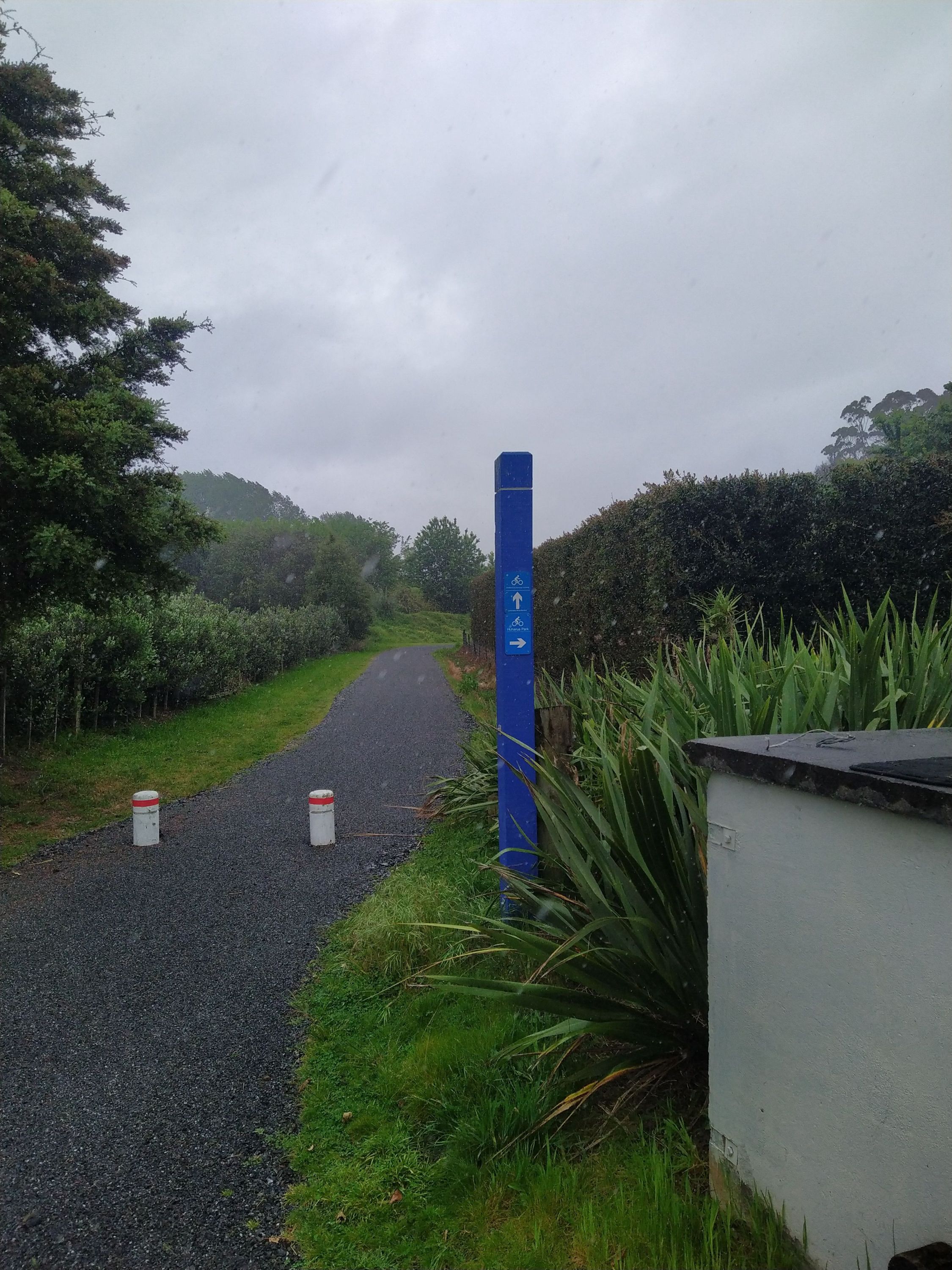 Omokoroa Seaside Caper, Bay of Plenty - Trails Photo Gallery - Wild Things