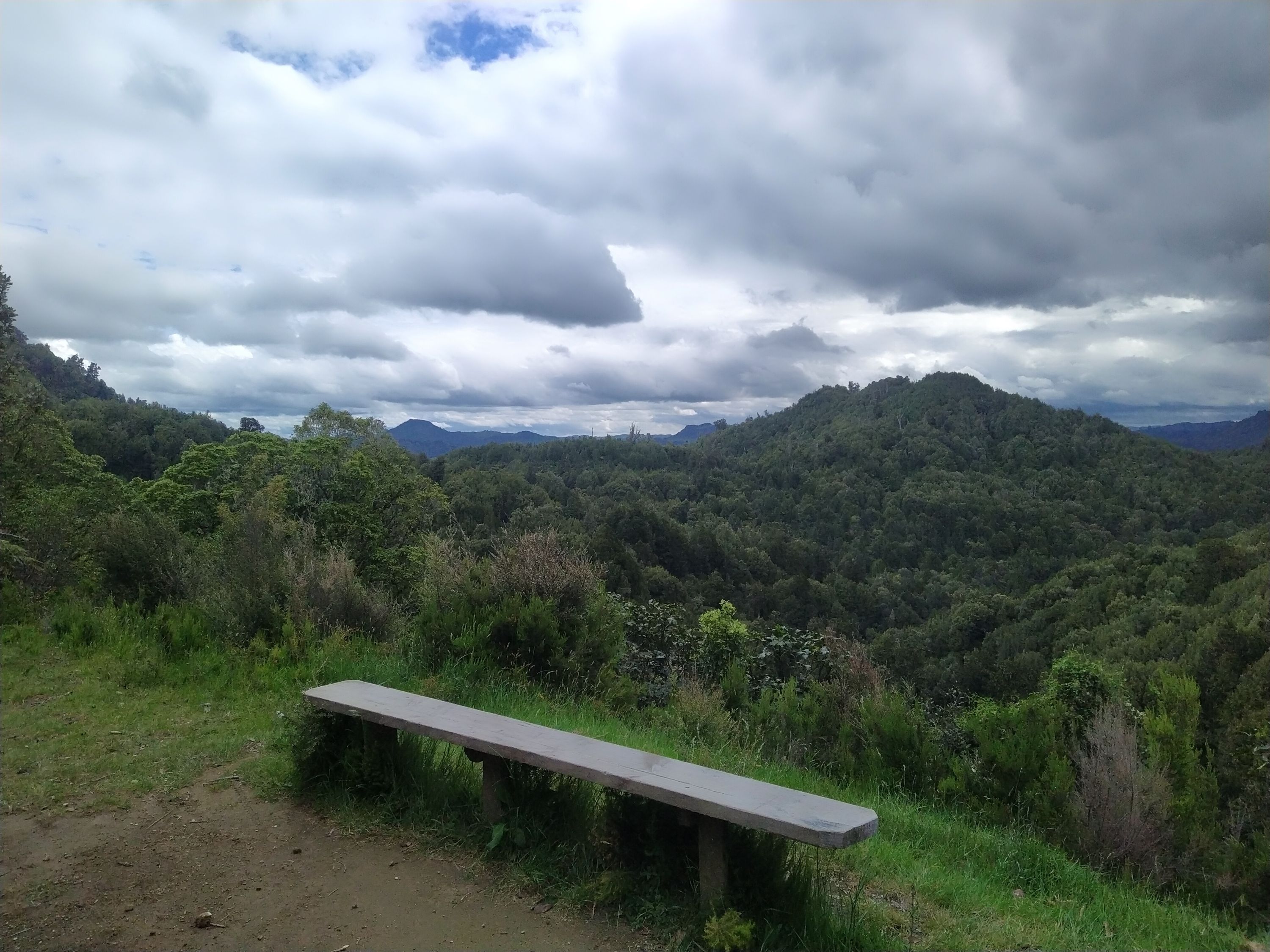 Timber Trail, Waikato - Trails Photo Gallery - Wild Things