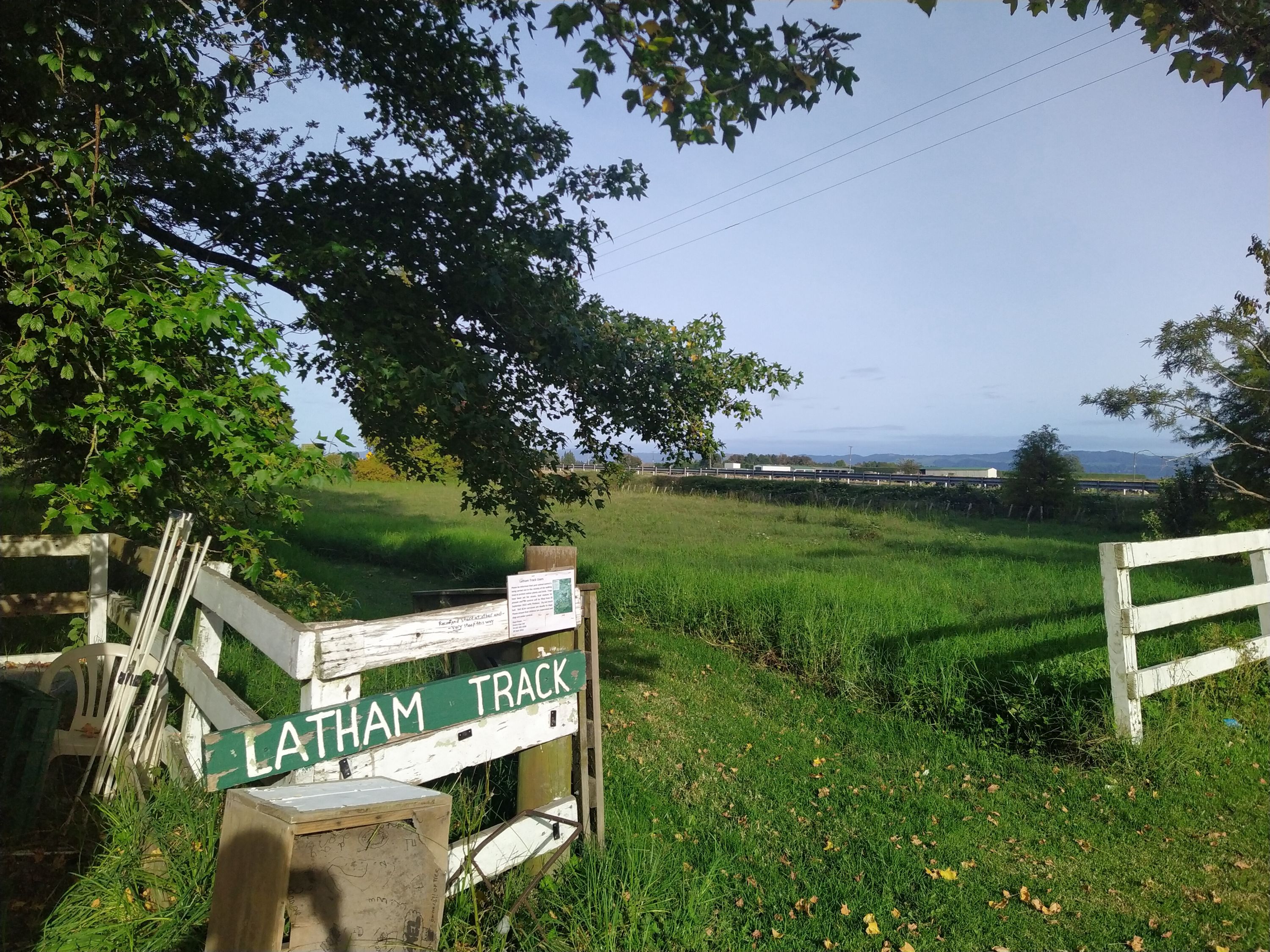 Latham's Hill Track, Bay of Plenty - Trails Photo Gallery - Wild Things